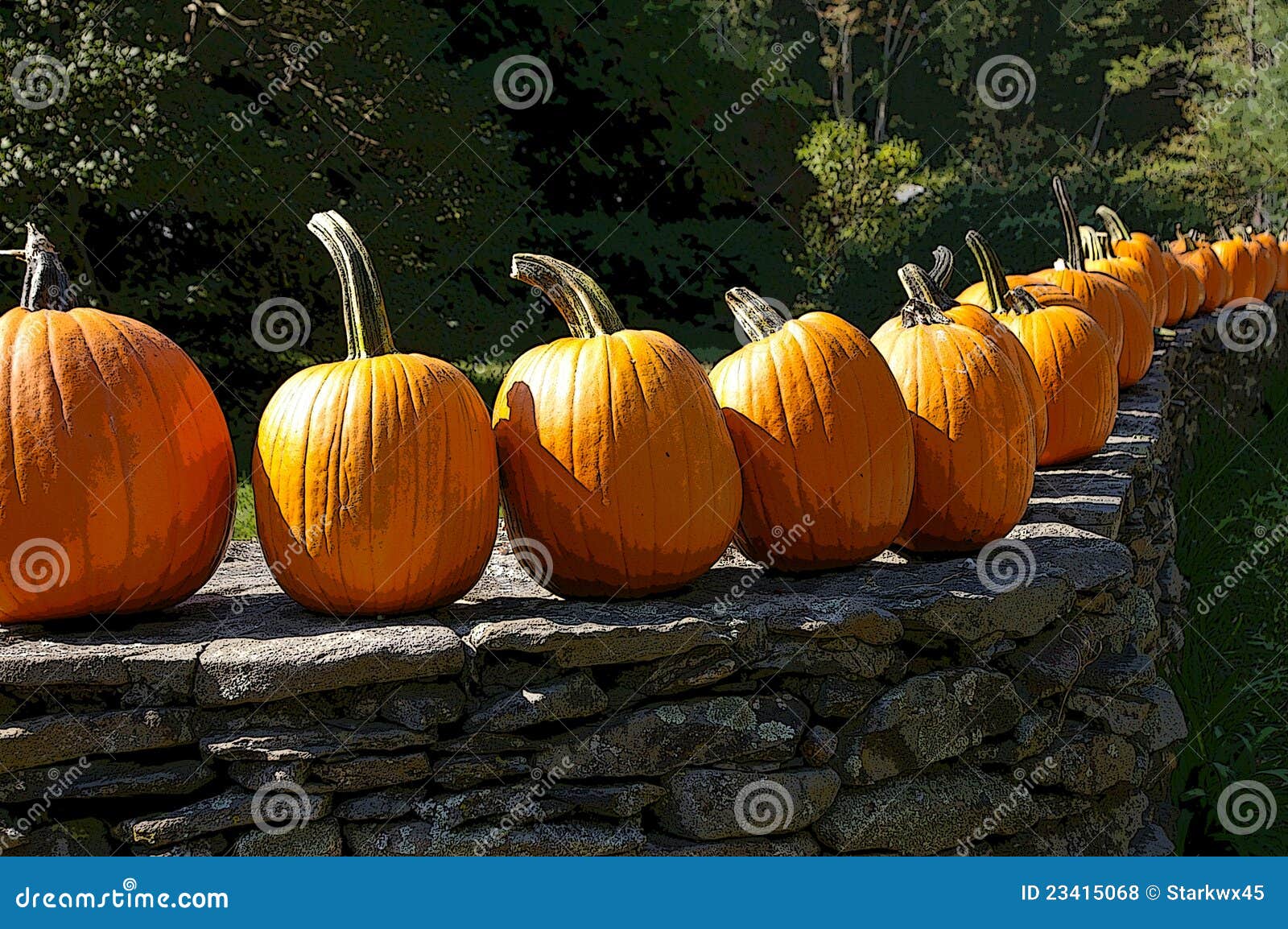 Decorative Pumpkin Wall stock photo. Image of autumn - 23415068
