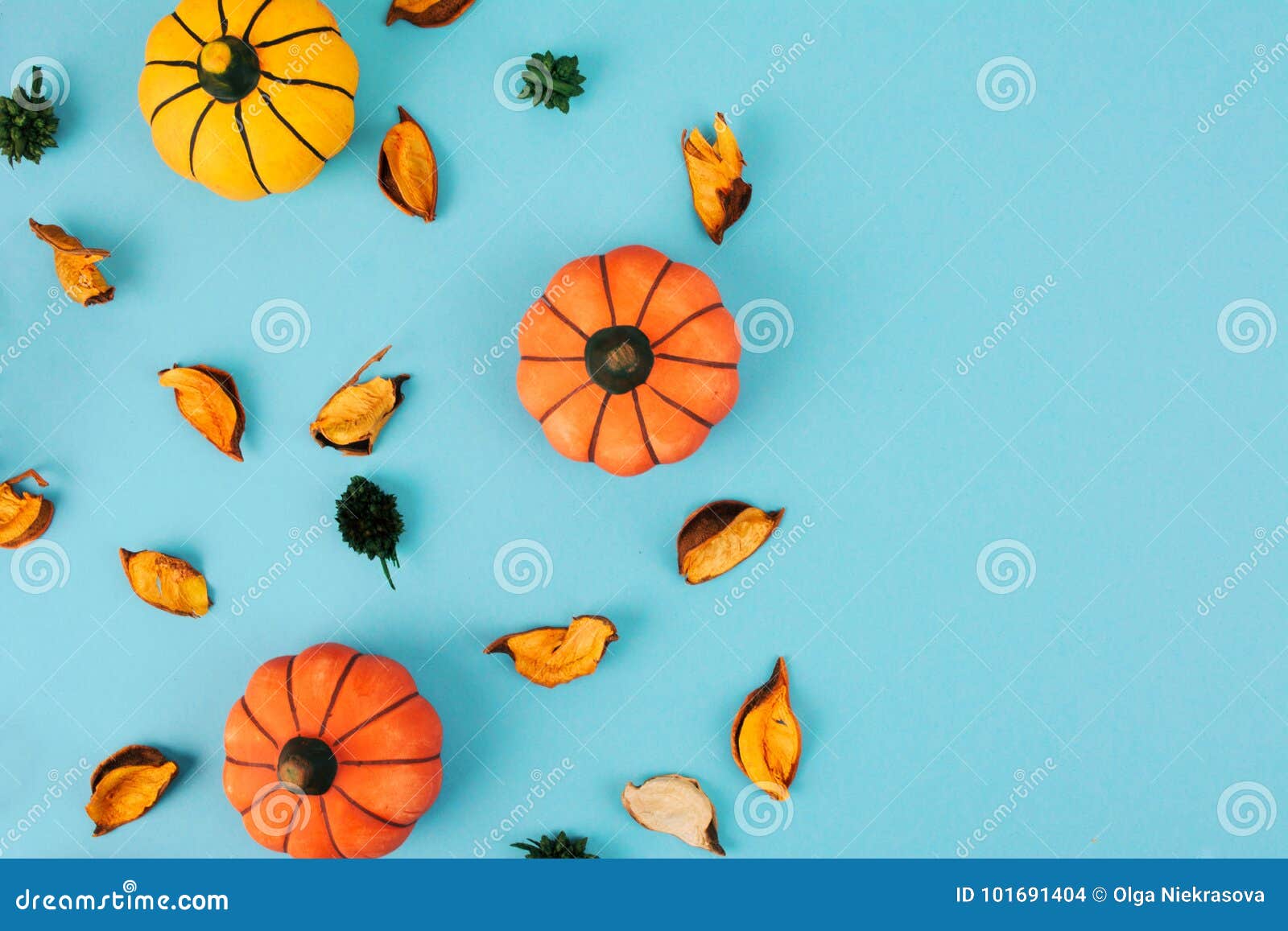Decorative Pumpkins on Blue Background. Stock Photo - Image of ...