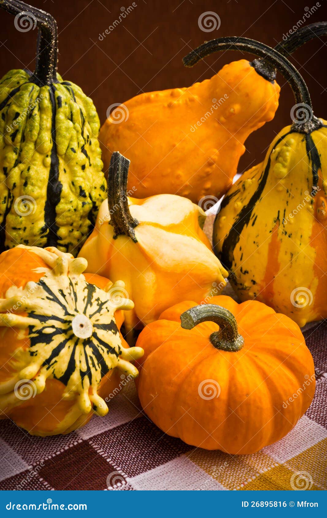Decorative Pumpkins Squash Fruits Stock Photo - Image of natural ...