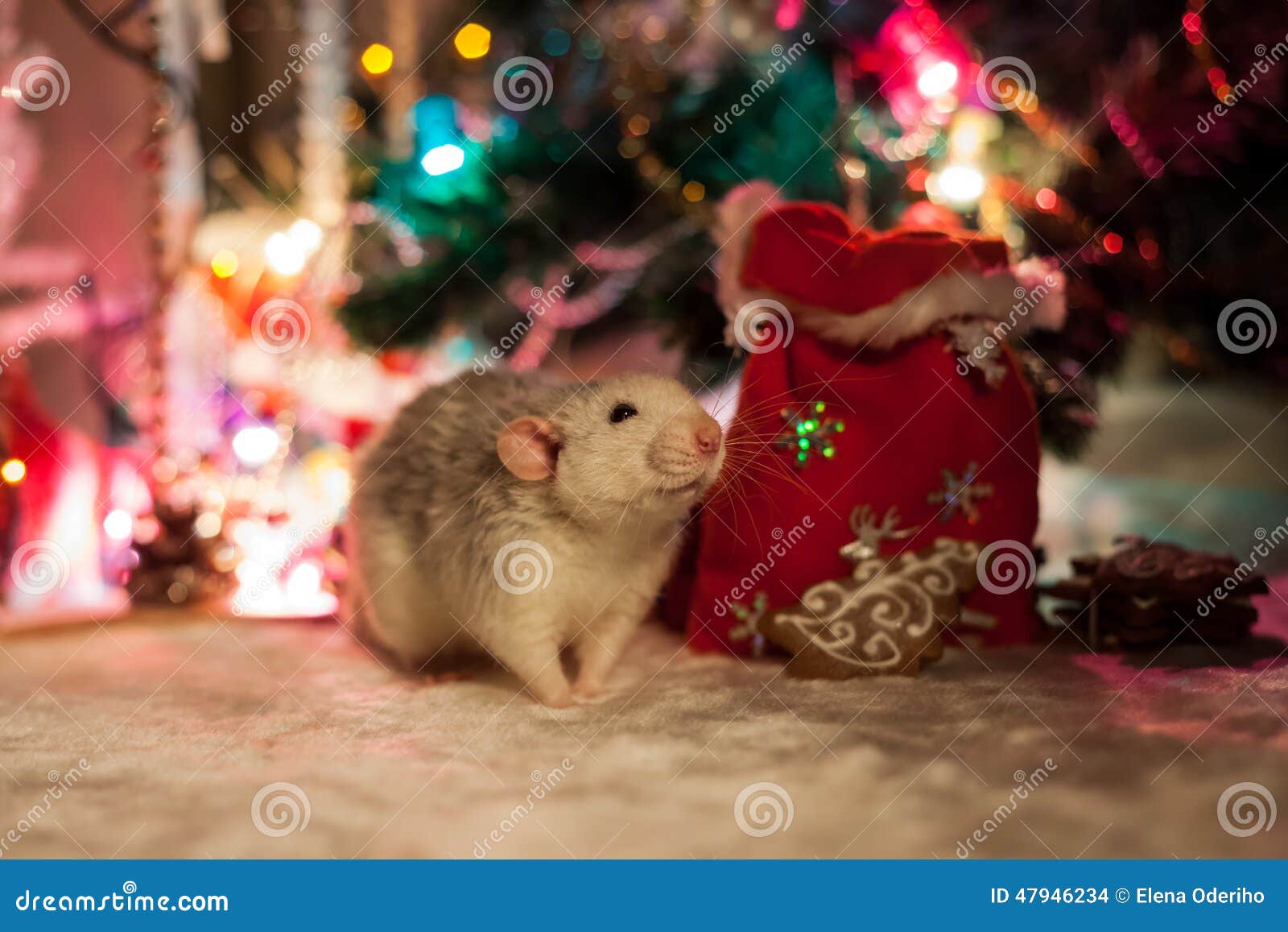 Decorative Rat on a Background of Christmas Decorations Stock Photo ...