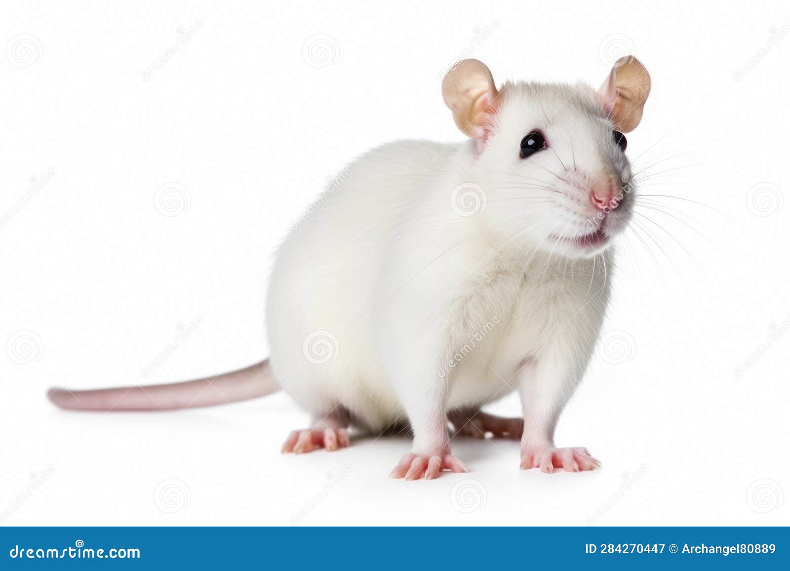 Decorative Rat on a Light Background. Generative AI Stock Illustration ...