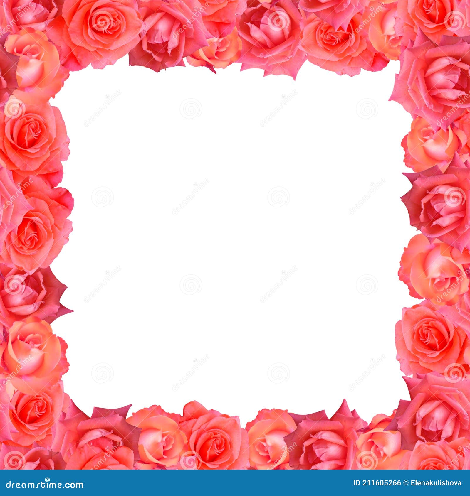Decorative Rectangular Frame Made of Red Roses Flowers. Stock Photo ...