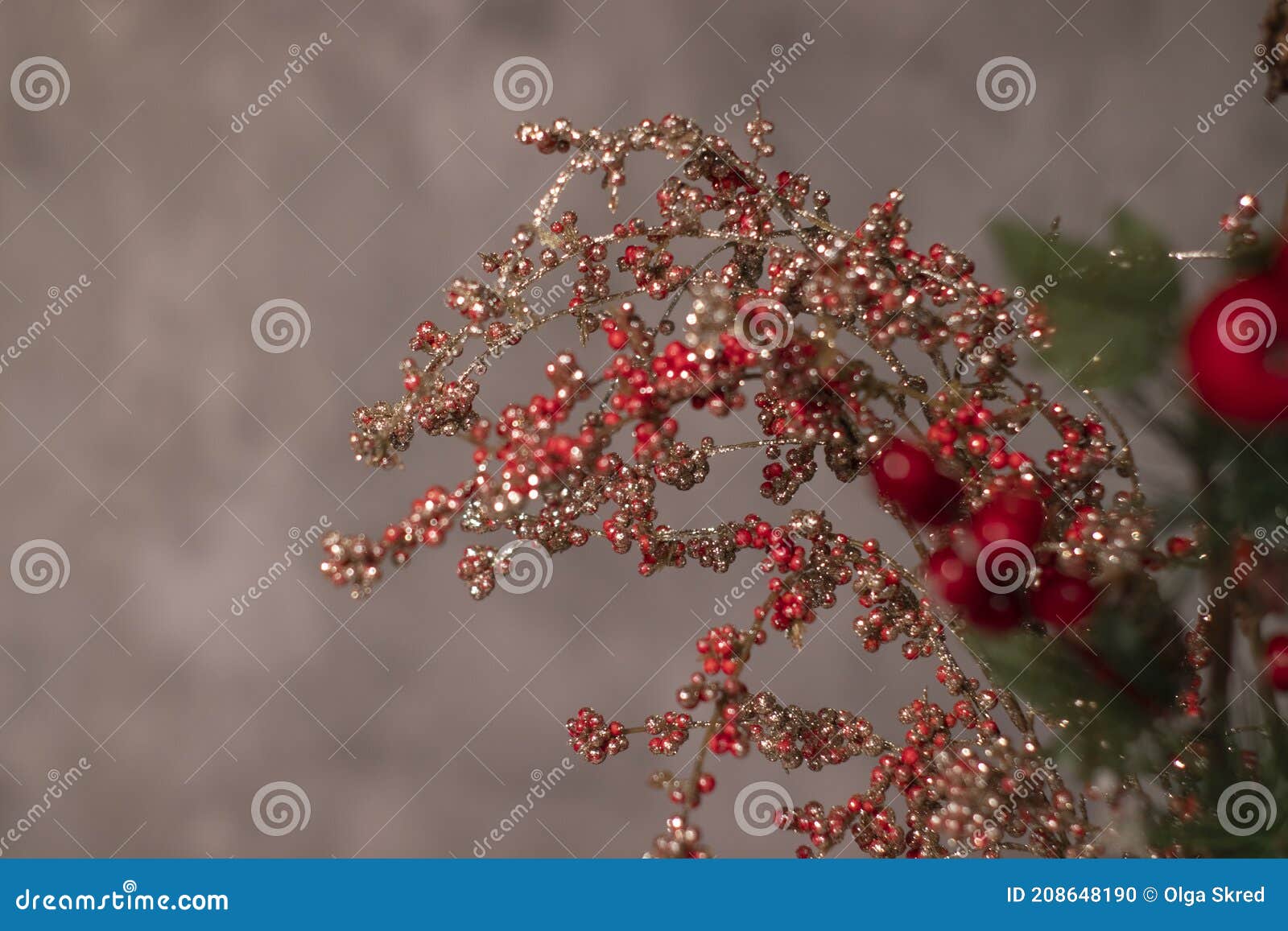Decorative Red Branches. Interior, Cozy Stock Photo - Image of card ...