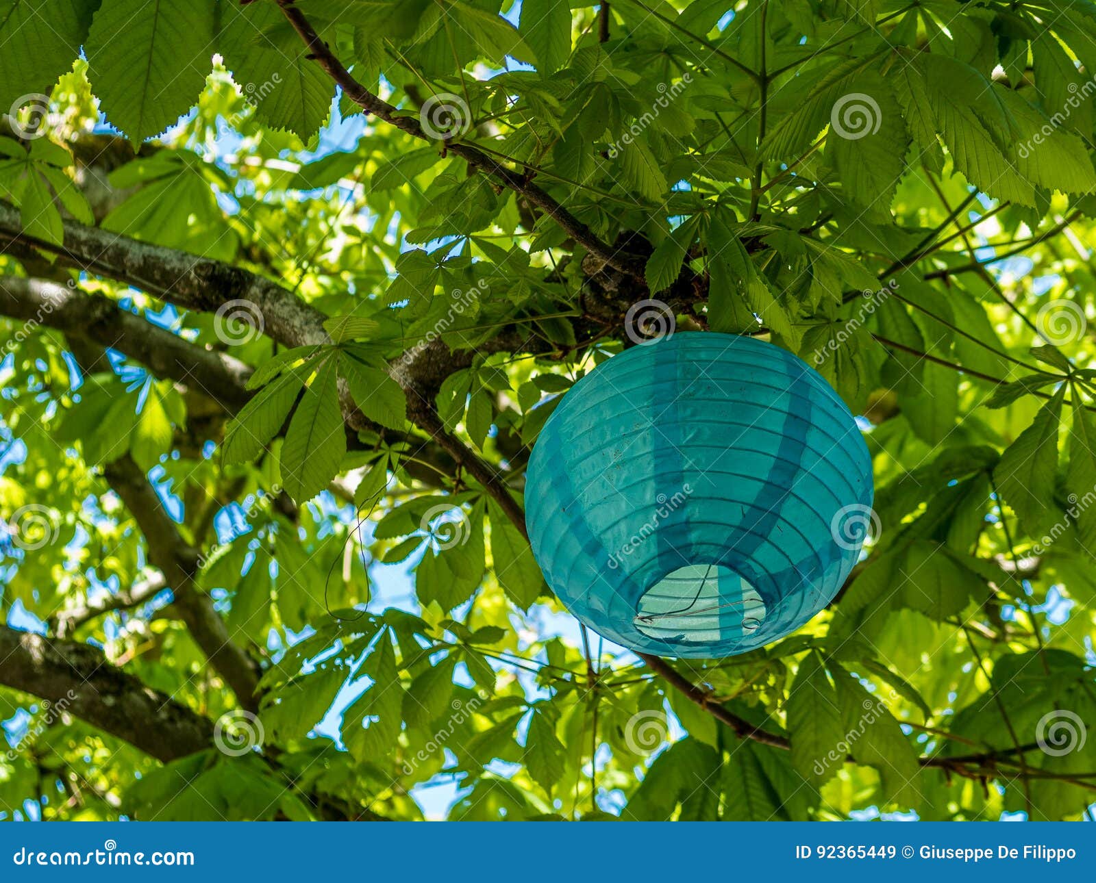 Decorative Rice-paper Lantern Hanging from a Tree Stock Image - Image ...