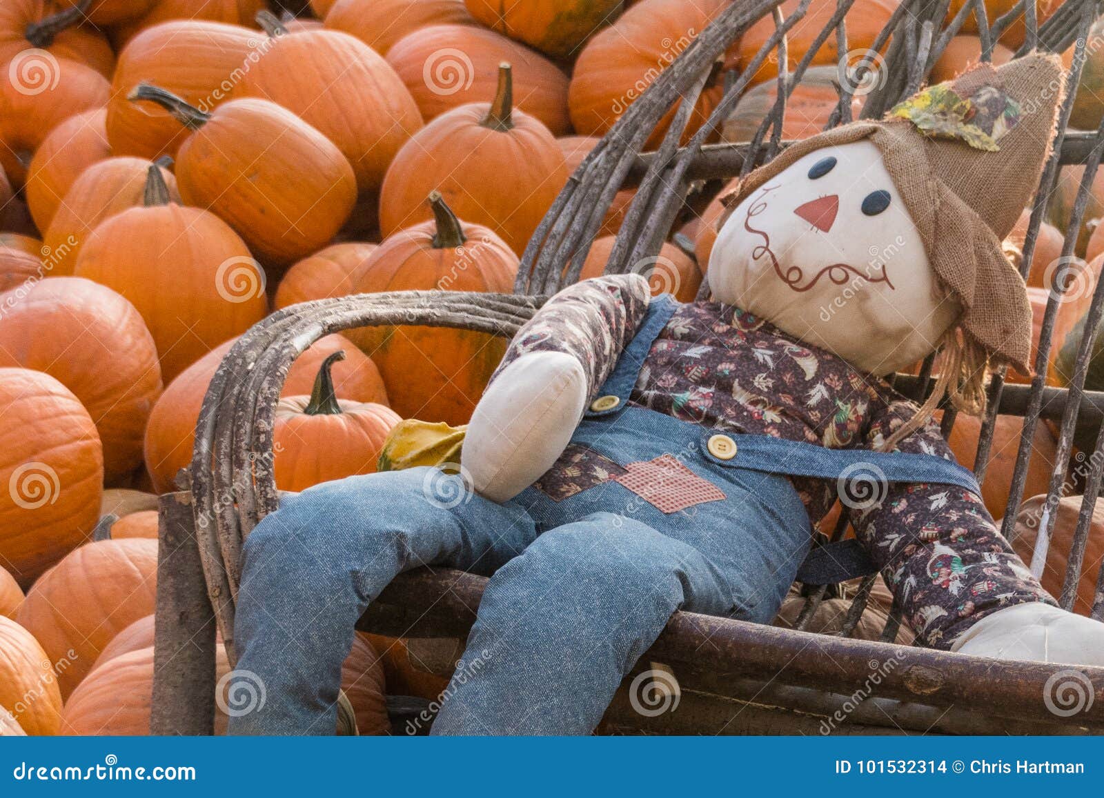Stuffed Scarecrow With A Hat Royalty-Free Stock Photography ...