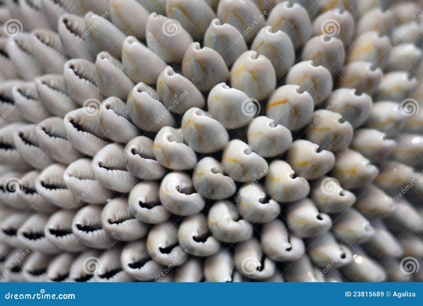 Decorative sea shell ball stock image. Image of decorative - 23815689