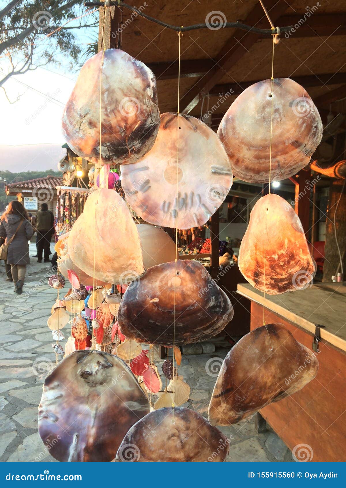 Decorative sea shells editorial image. Image of sold - 155915560