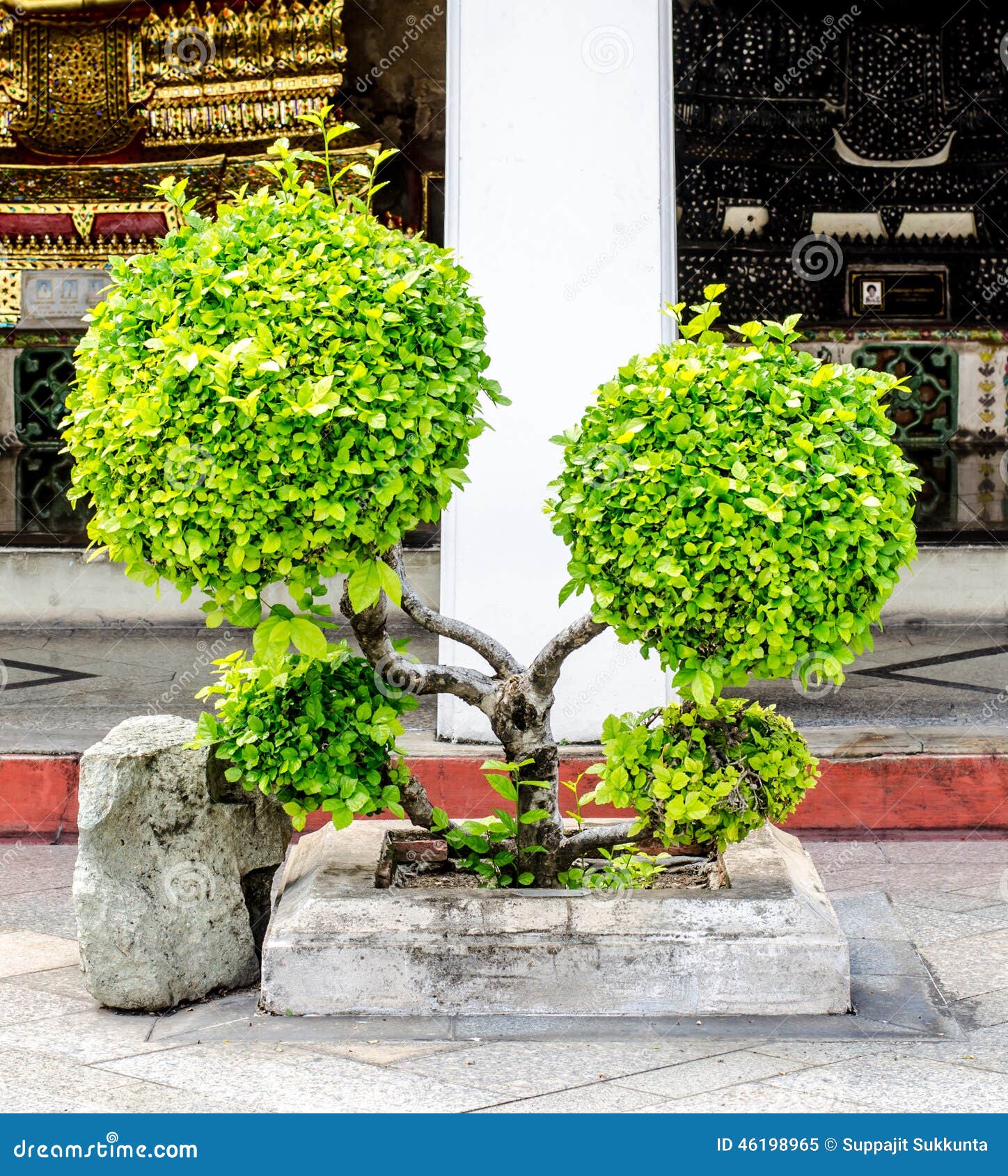 Decorative Shaped Trees On The Temple Royalty-Free Stock Photo ...