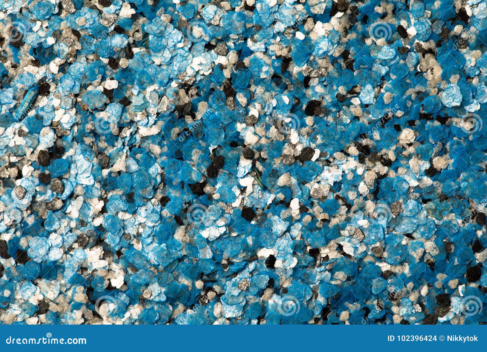 Shell Texture Stock Image | CartoonDealer.com #12383881