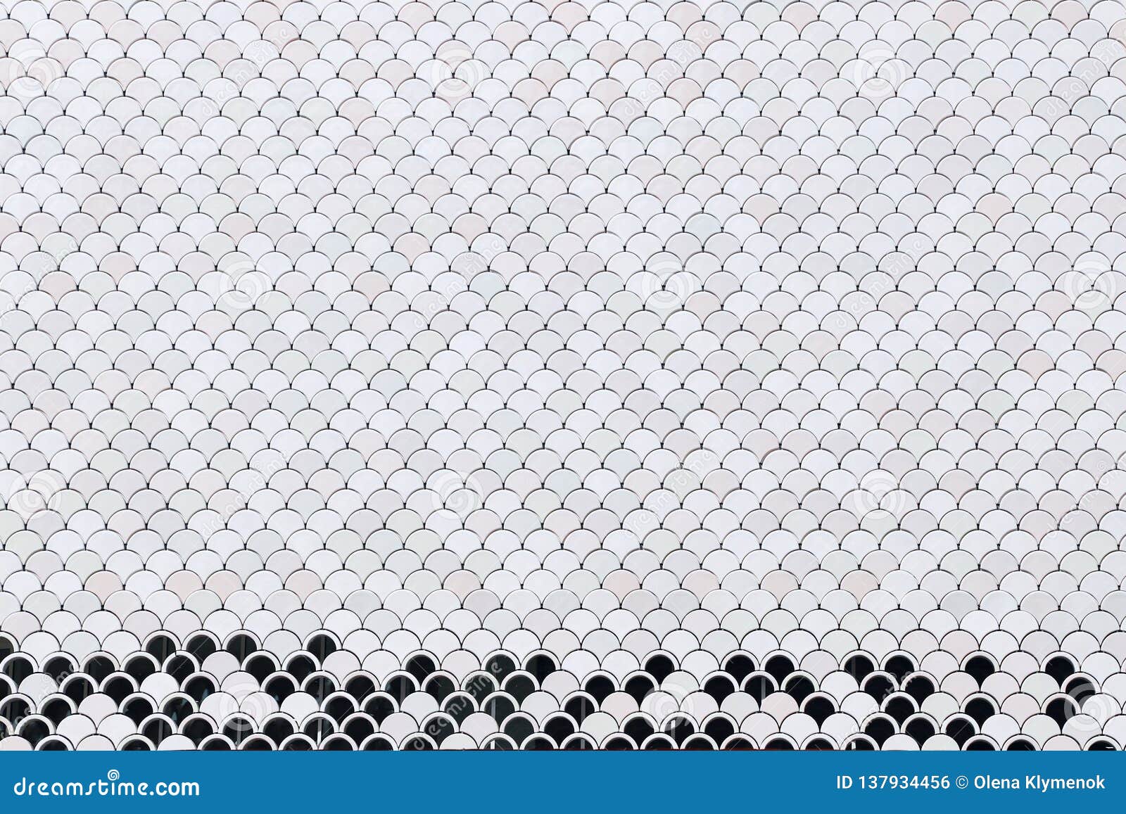 Shell Tiles Royalty-Free Stock Photo | CartoonDealer.com #90780585