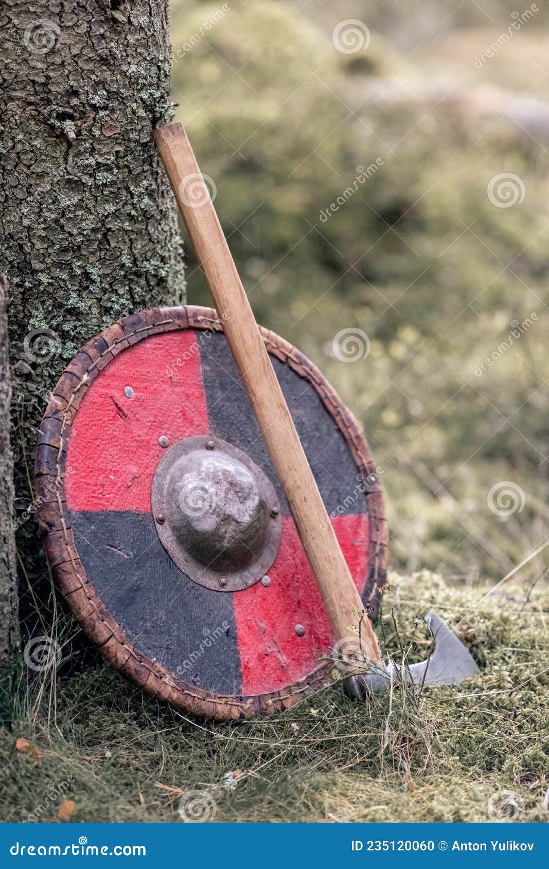 Decorative Shield and Axe on the Background of the Scandinavian Forest ...