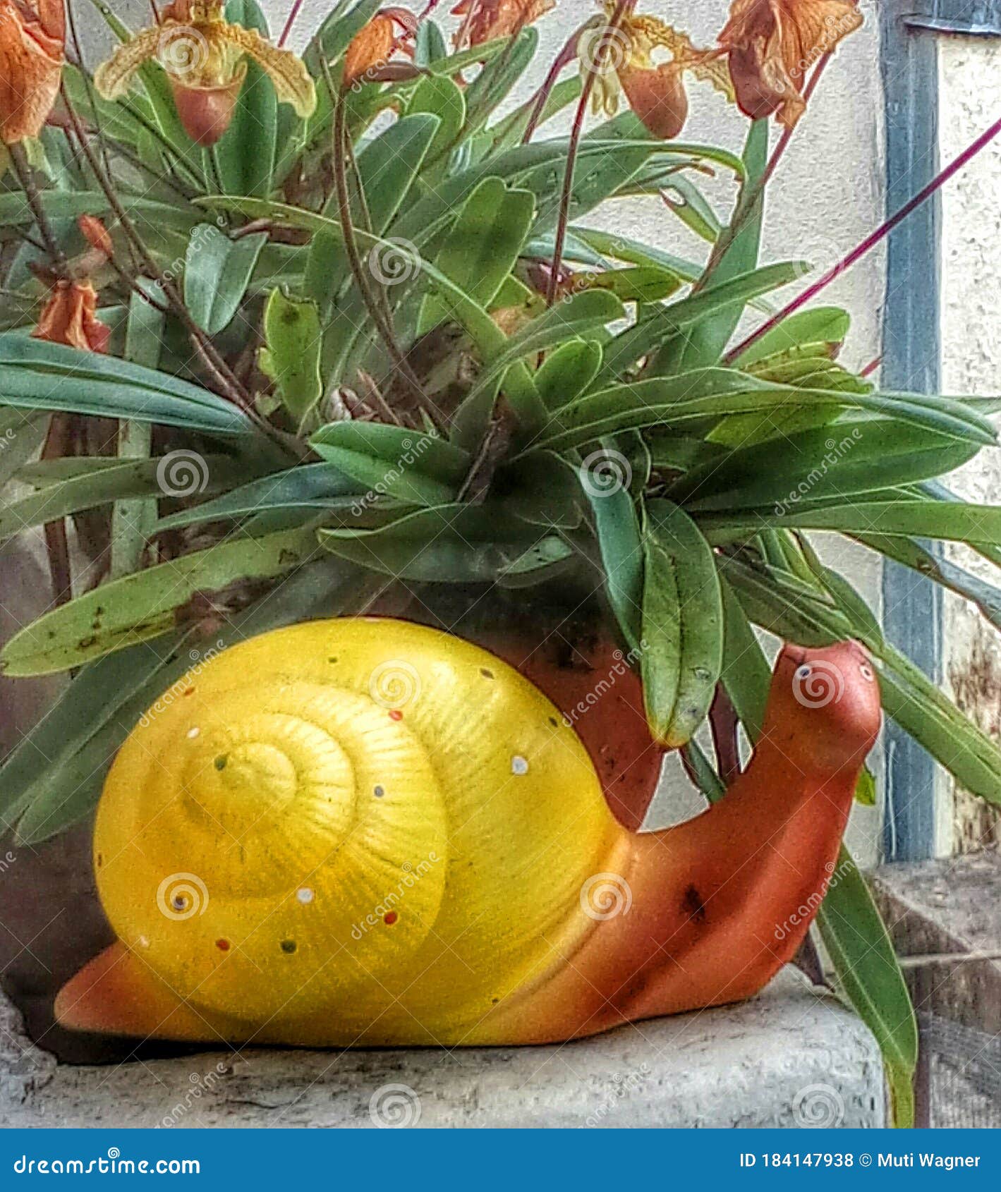 Decorative slug stock photo. Image of decorative, decoration - 184147938