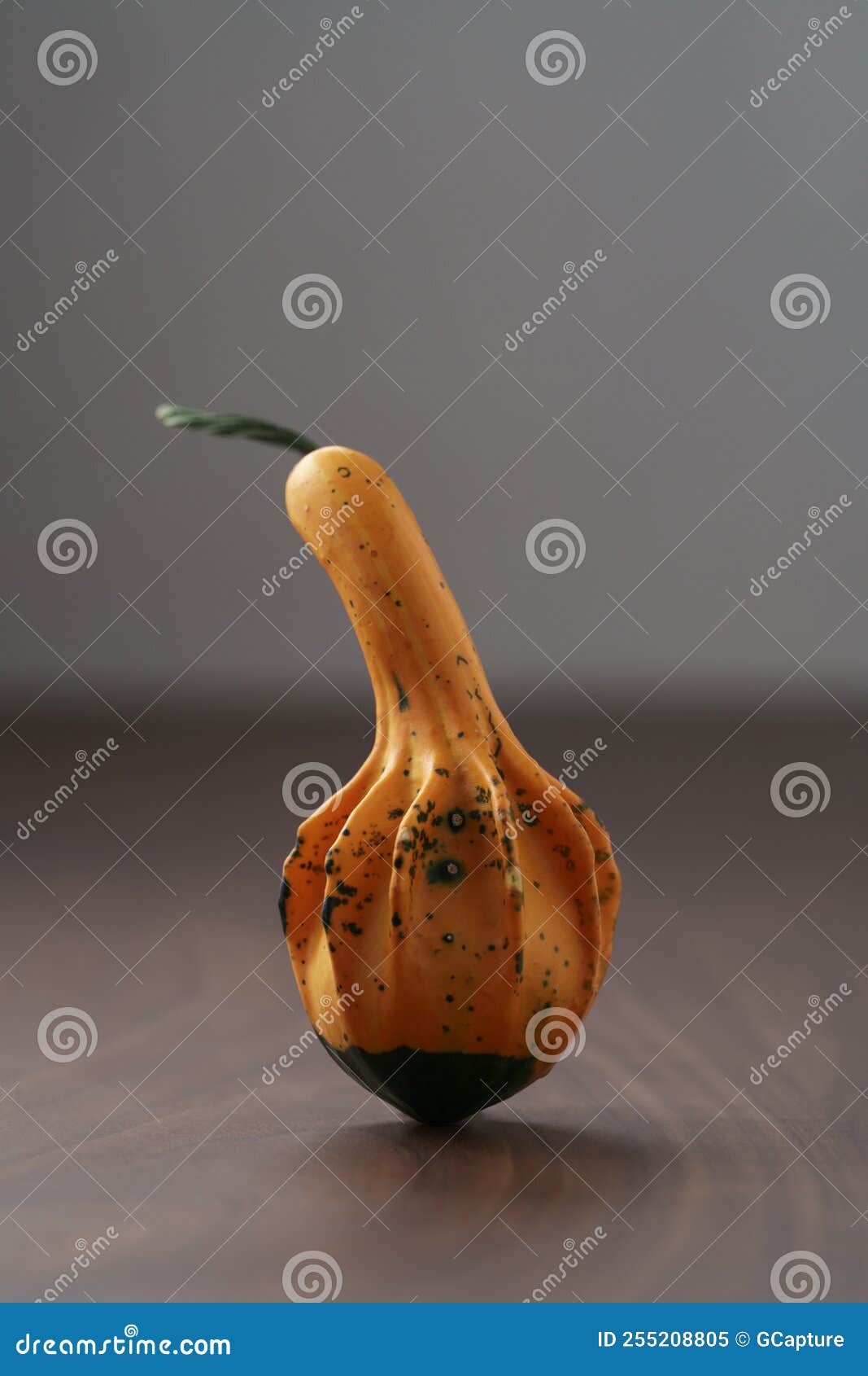 Decorative Small Pumpkin on Wood Table Stock Image - Image of pear ...