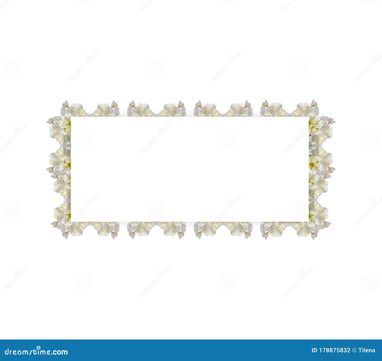 Spring Floral Frame on a Rectangular Shape Stock Illustration ...