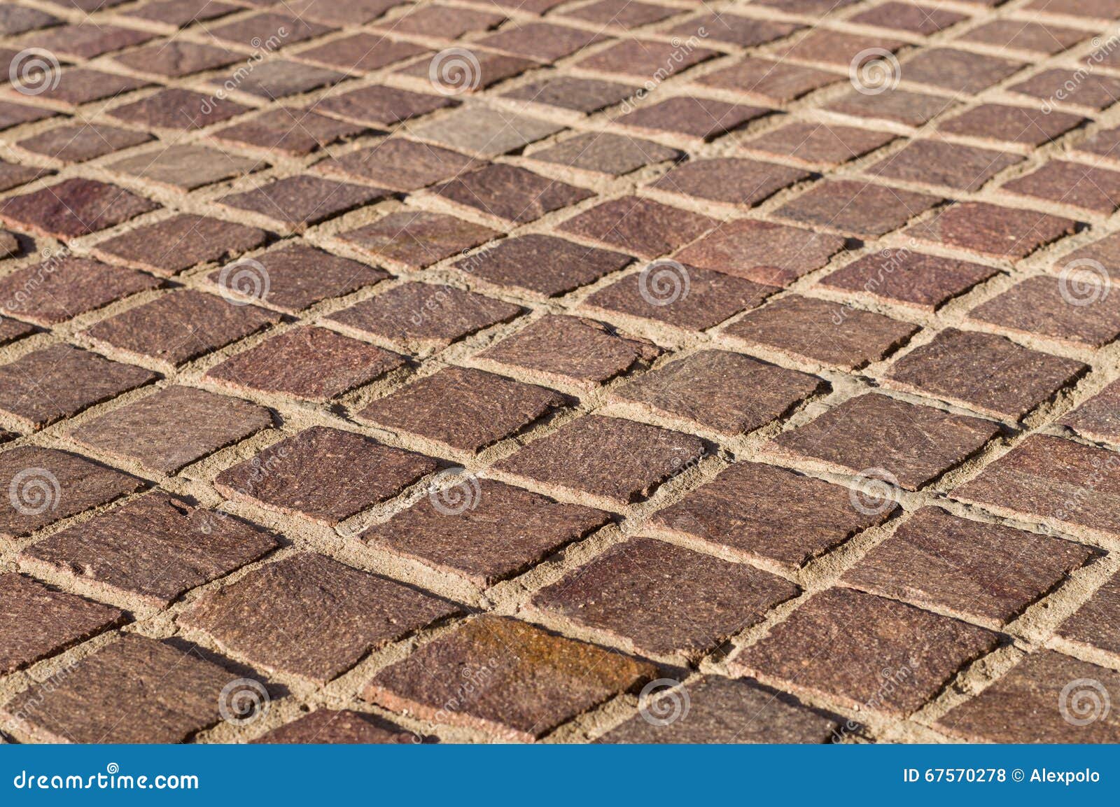 Decorative Square Tiled Ground in Sunlight Stock Photo - Image of build ...