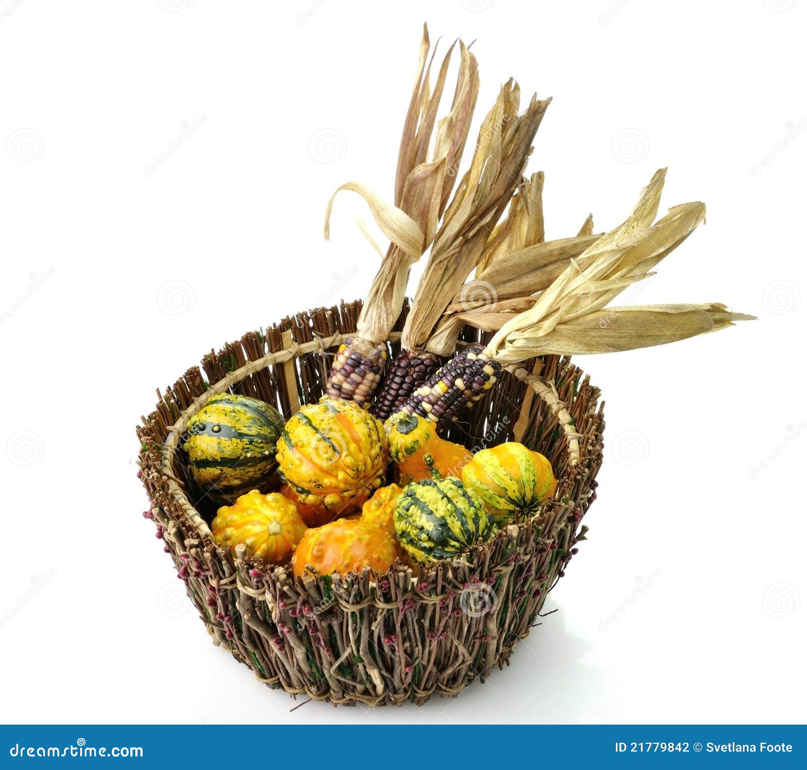 Decorative Squash and Colorful Corn Stock Photo - Image of food ...