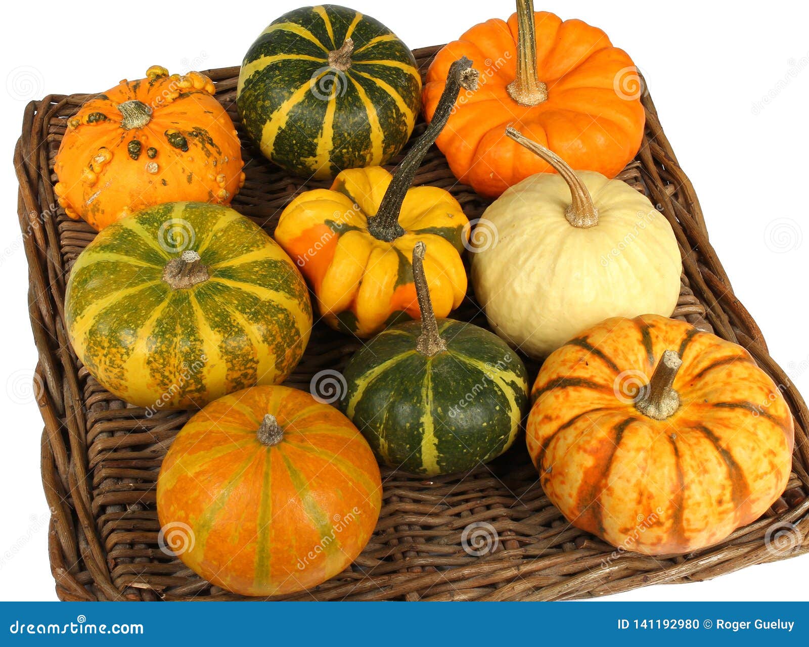 Decorative Squashes, Diverse Assortment Cucurbitaceous, Pumpkins on ...