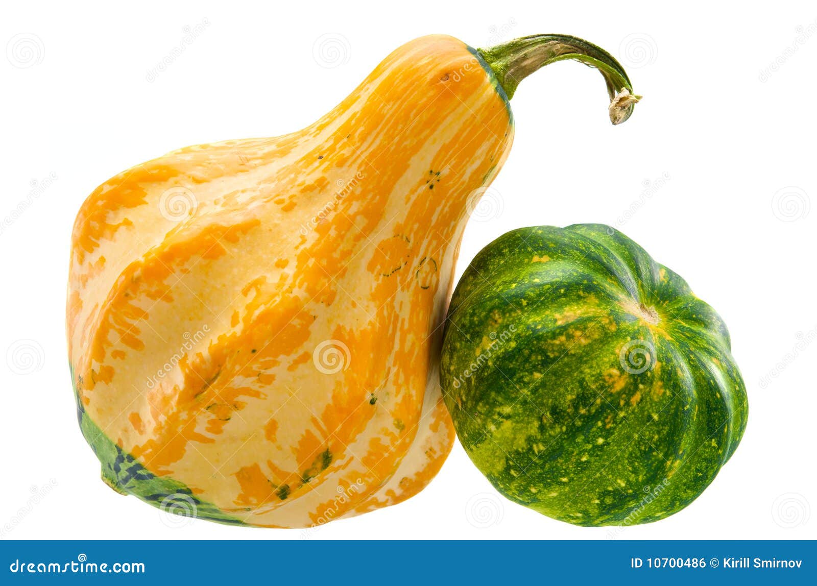 Decorative Squashes Isolated on White Background Stock Photo - Image of ...