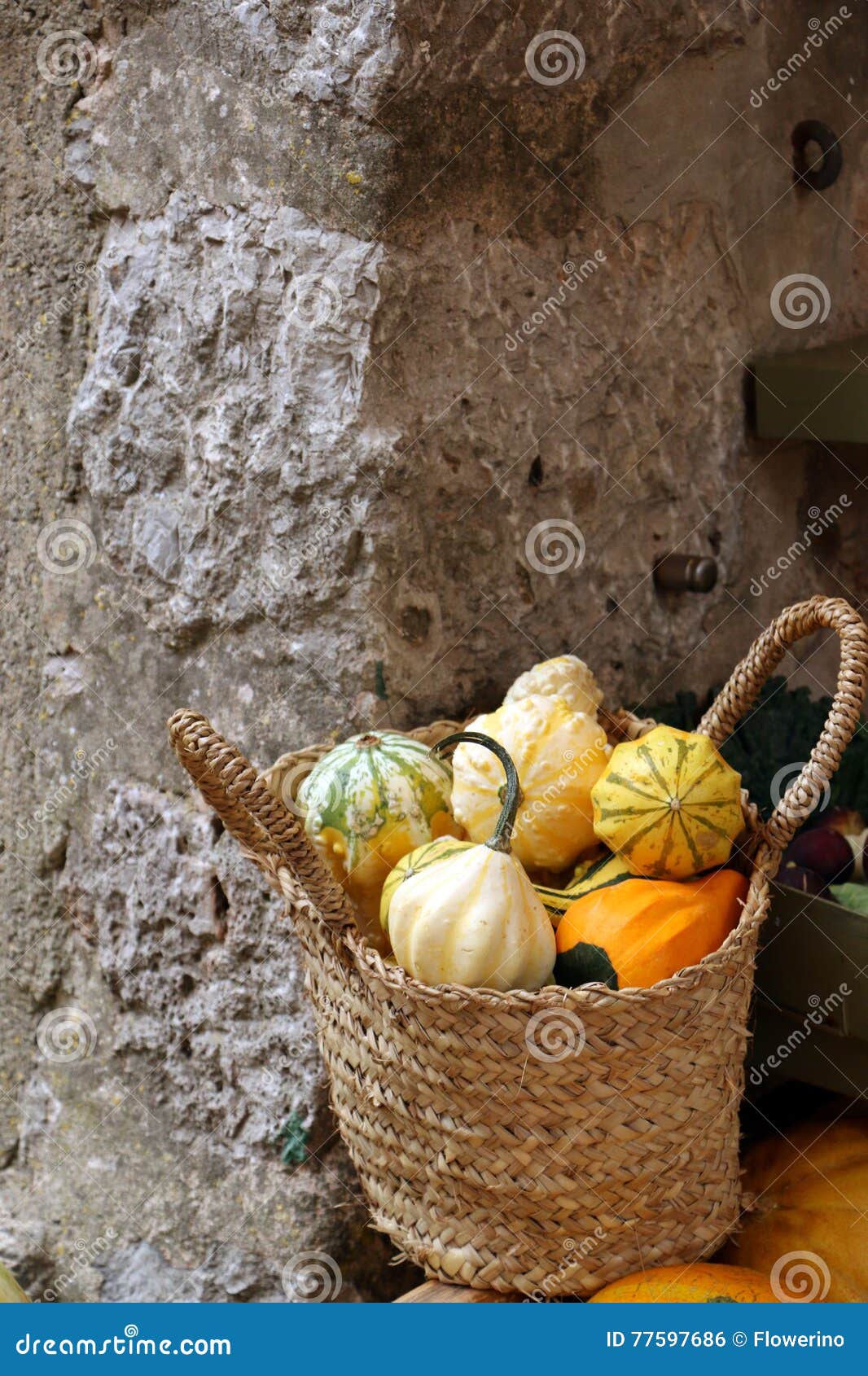 Decorative Squashes and Pumpkin in Wicker Basket Stock Photo - Image of ...