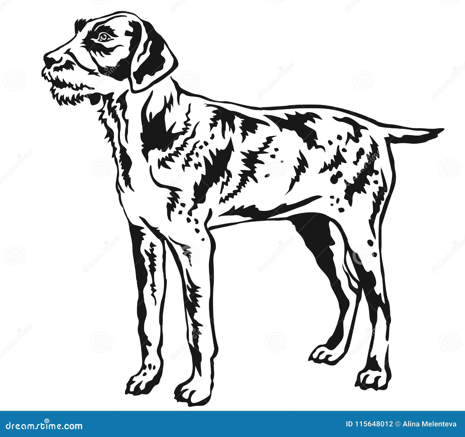 German Wirehaired Pointer Digital Art Illustration Isolated On White ...