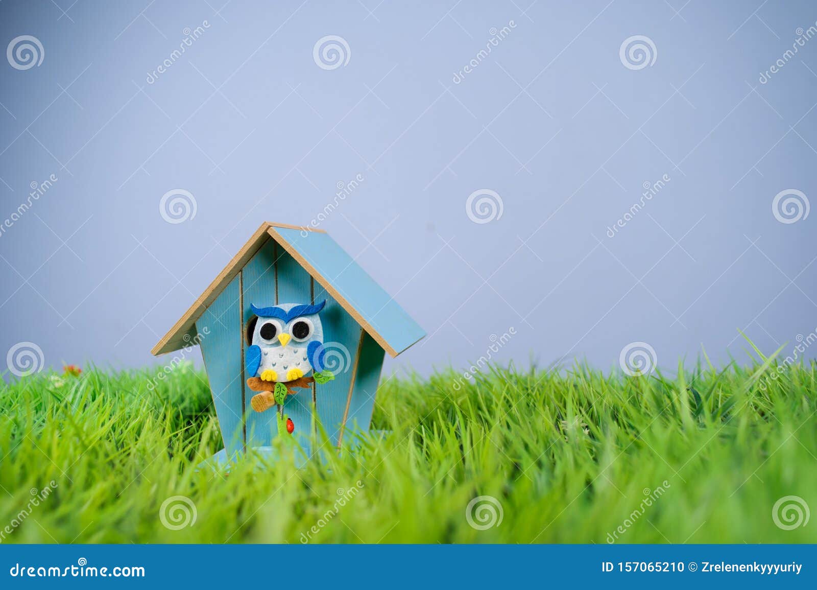 Decorative starling box stock photo. Image of season - 157065210
