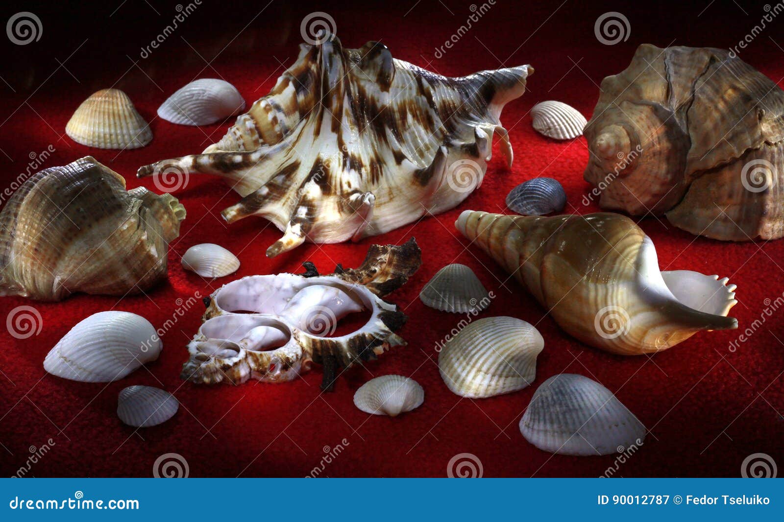 Decorative still life stock image. Image of creative - 90012787