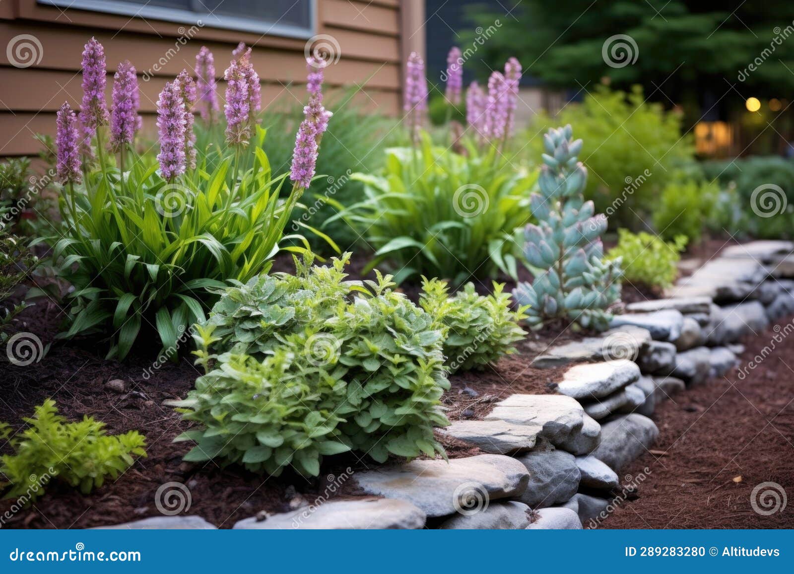 Decorative Stone Border Around a Garden Bed Stock Photo - Image of ...