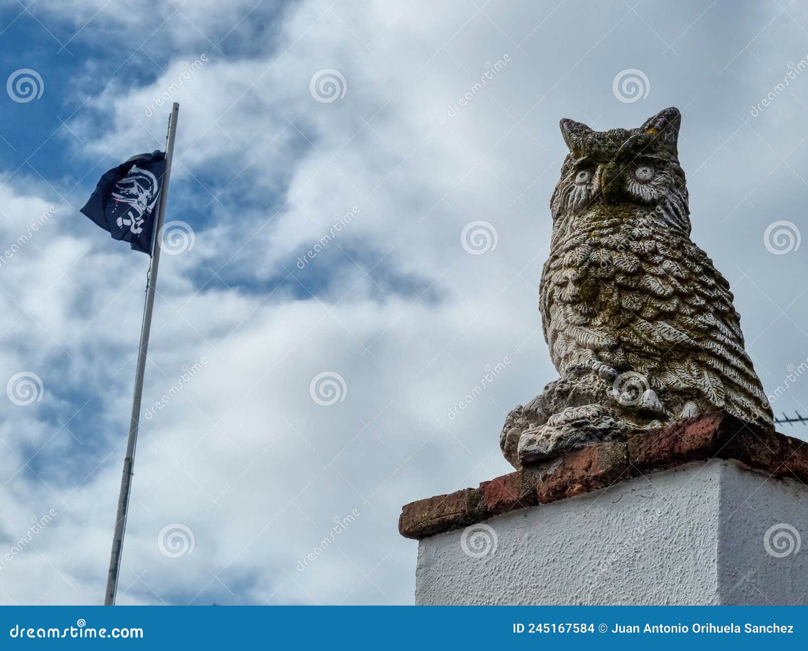 Pirate Owl Stock Photos - Free & Royalty-Free Stock Photos from Dreamstime