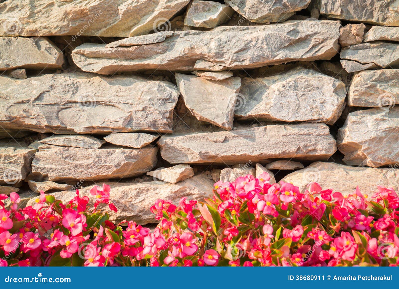 Decorative Stone Wall with Colorful Flowers Stock Image - Image of ...