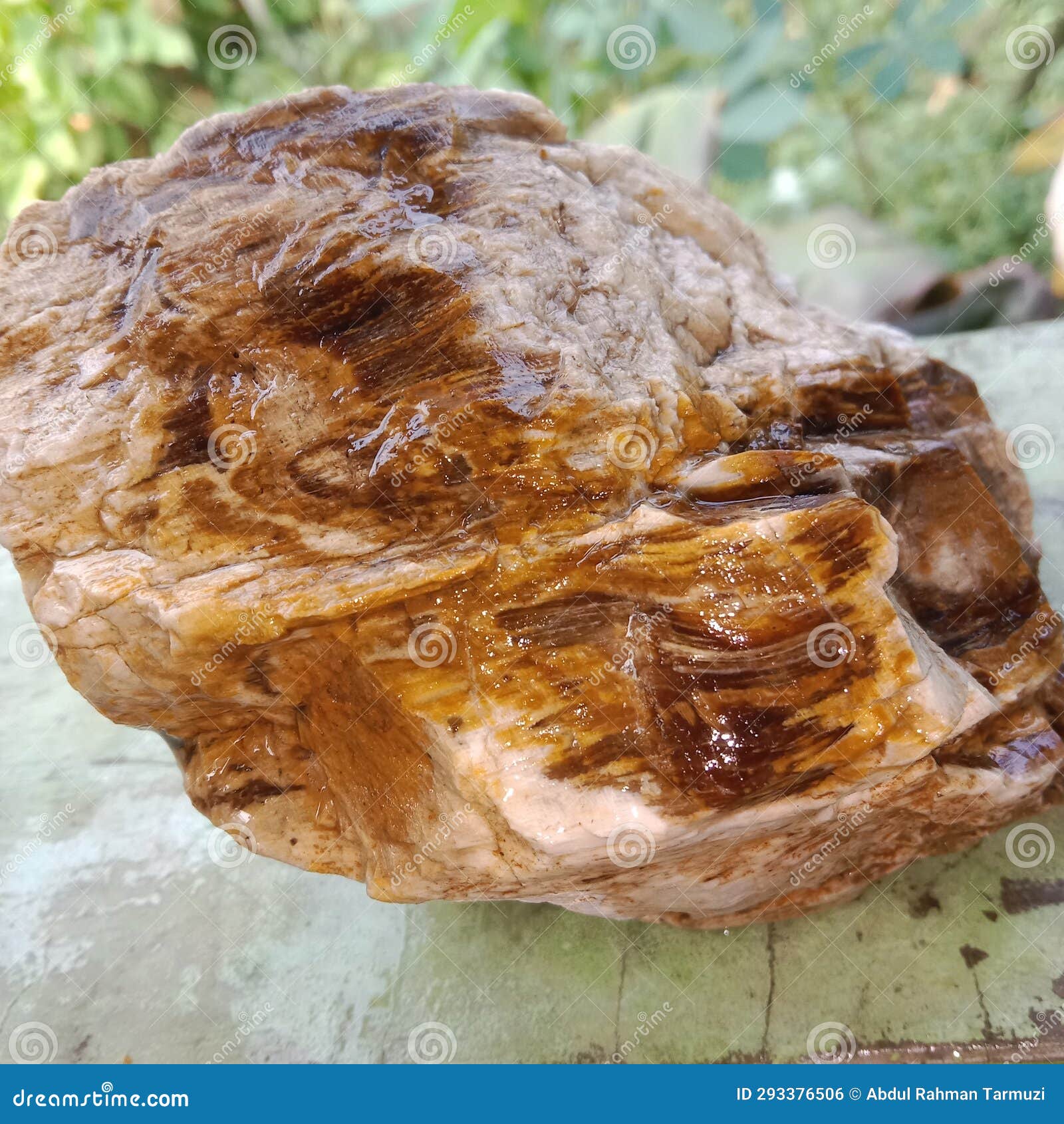 Wood Posil Stock Photos - Free & Royalty-Free Stock Photos from Dreamstime