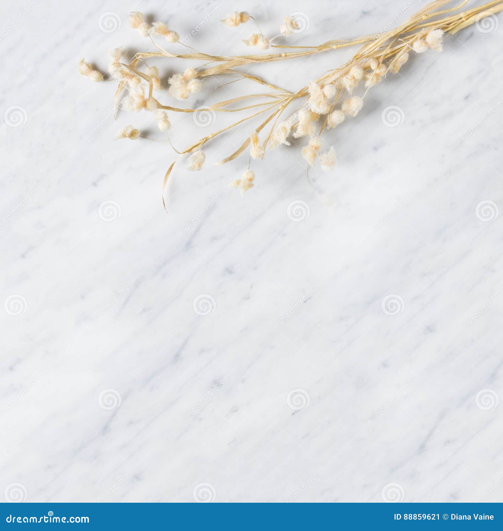 Decorative Straw Branches on Marble Kitchen Top Stock Image - Image of ...