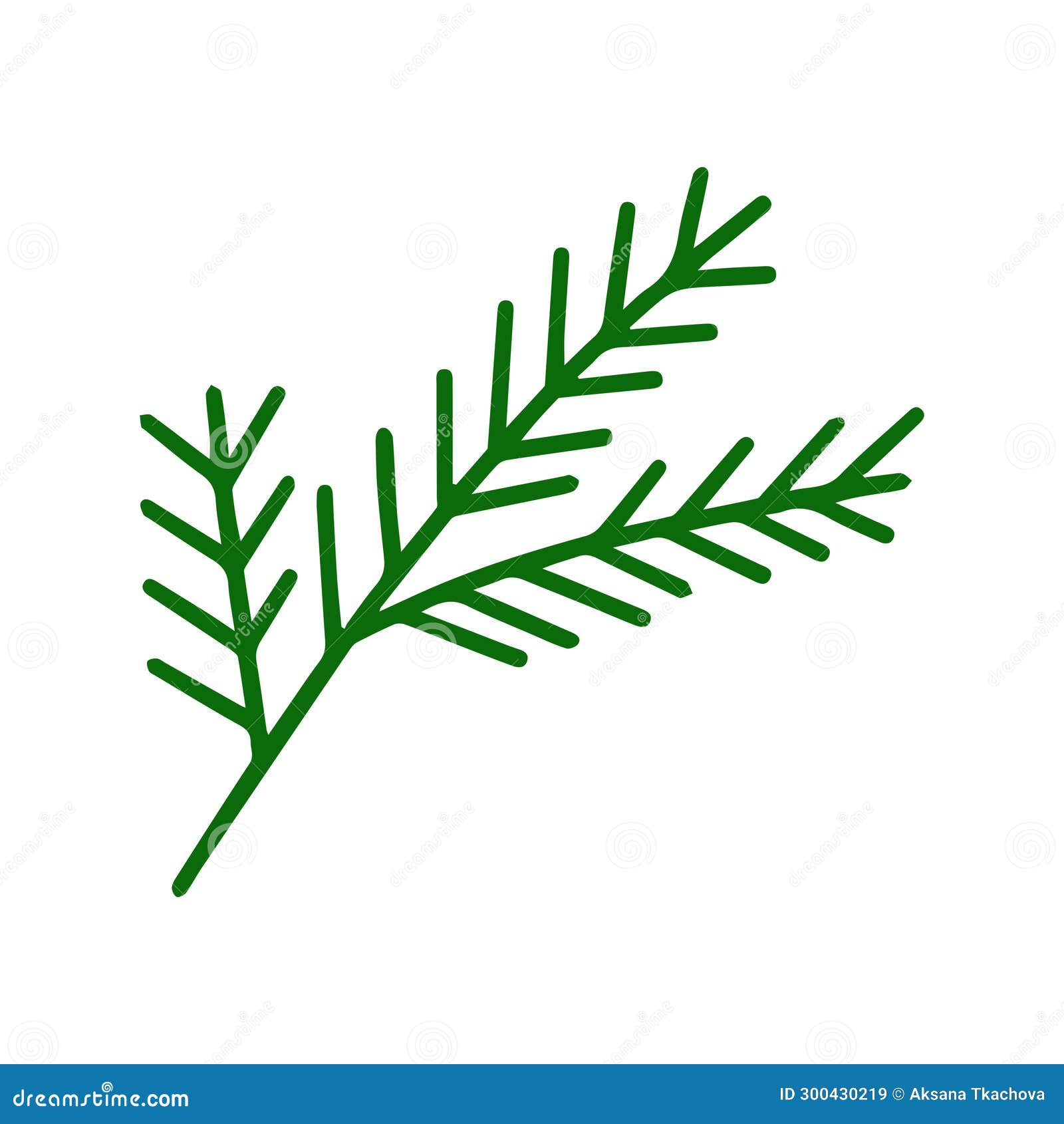 Decorative Stylized Branch of a Pine Tree. Vector Graphic Illustration ...