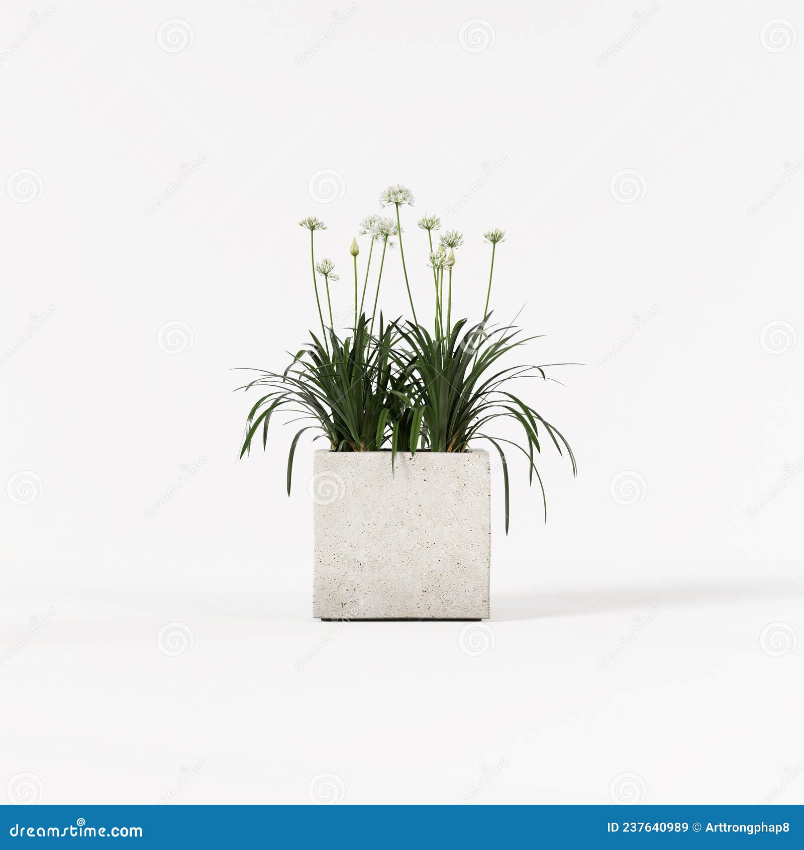 Modern Phant Pot Isolated on White Background Stock Image - Image of ...