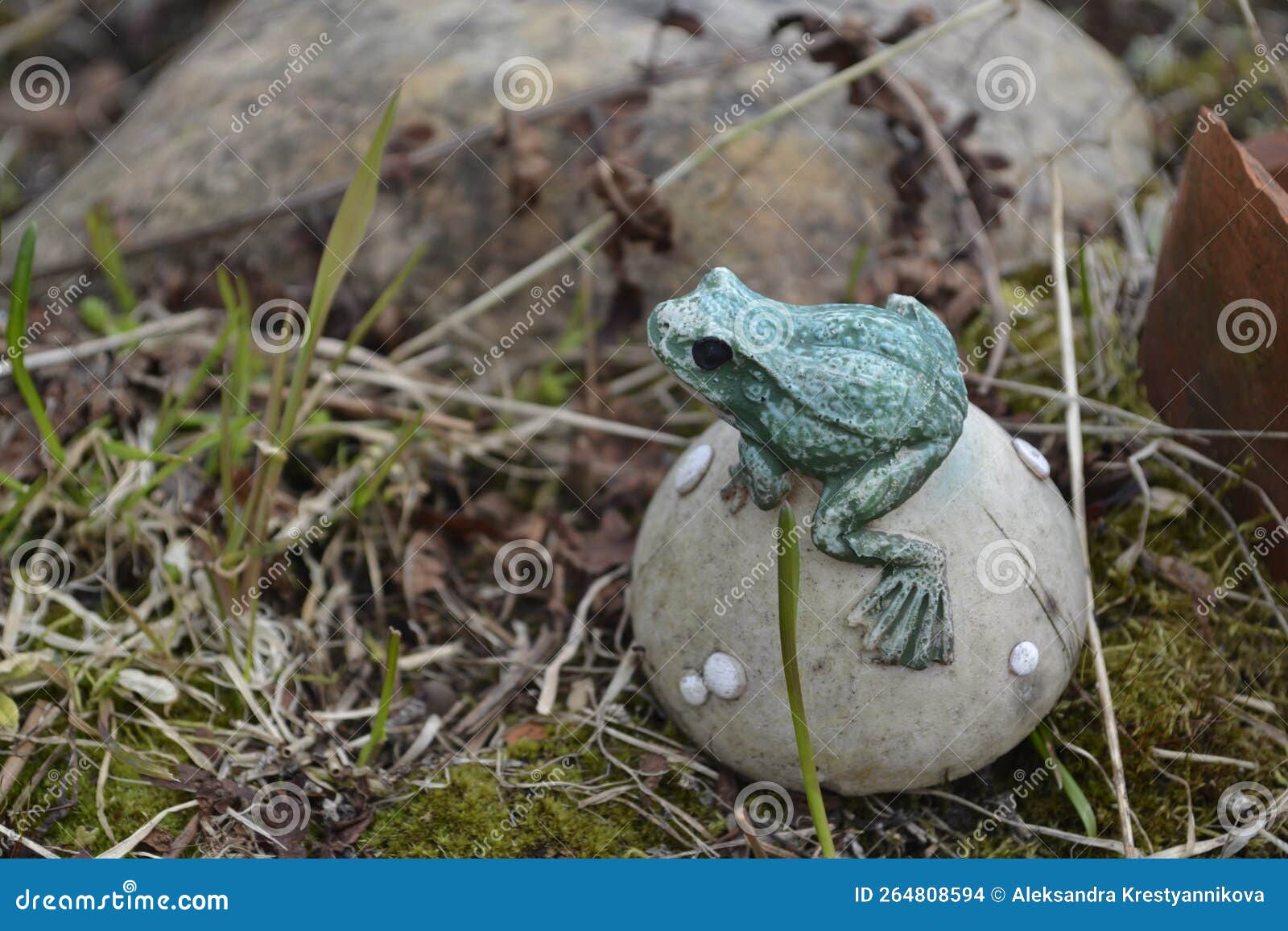 Decorative Toad on a Mushroom Stock Photo - Image of plant, lizard ...