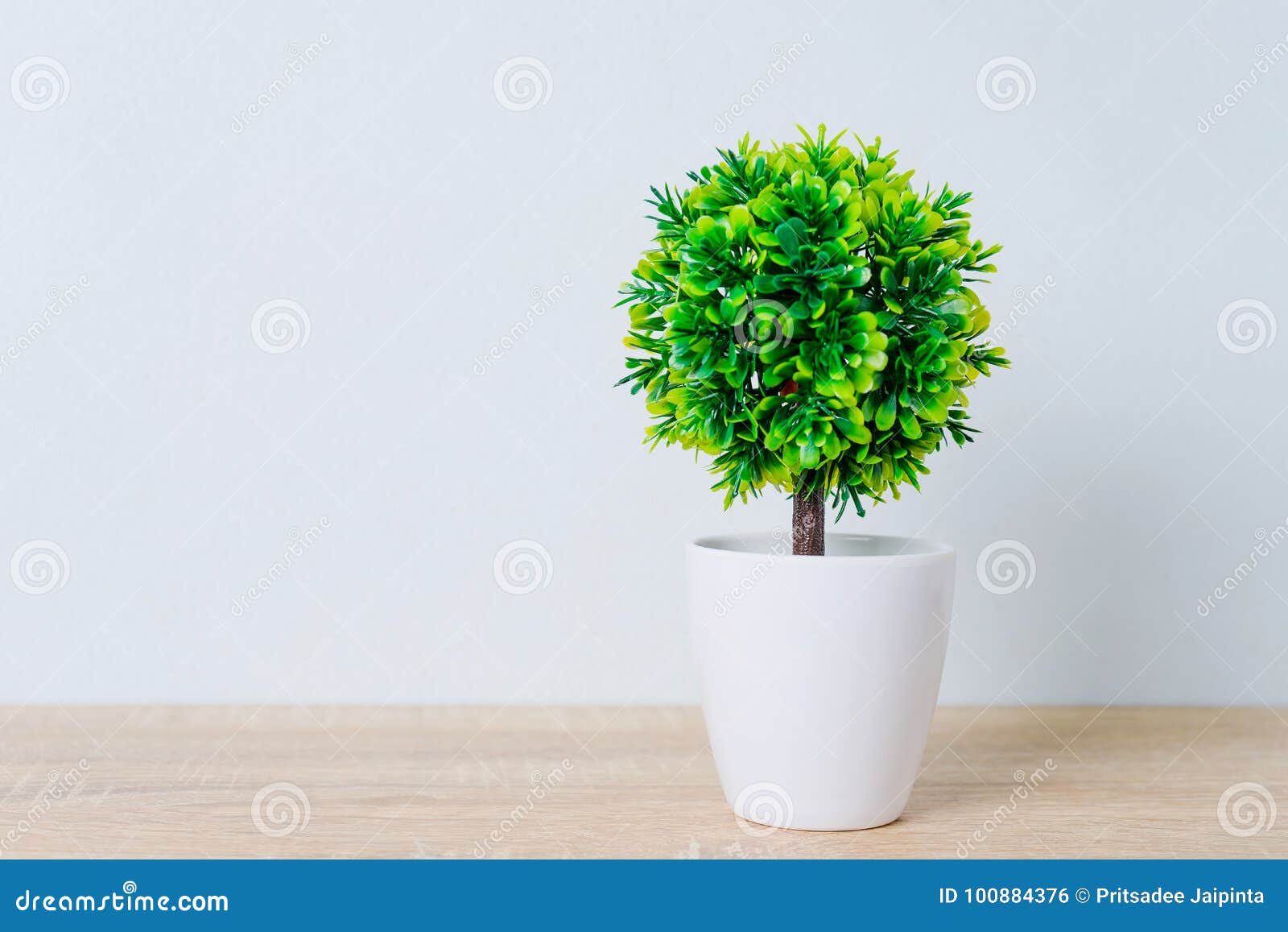Decorative Tree in Flower Pot Stock Photo - Image of modern, houseplant ...