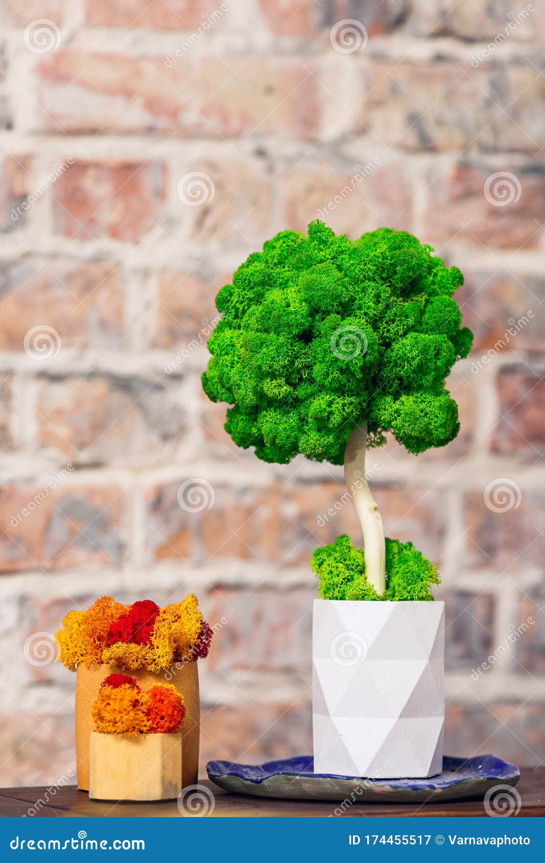 Decorative Tree and Grass from Stabilized Moss Stock Image - Image of ...