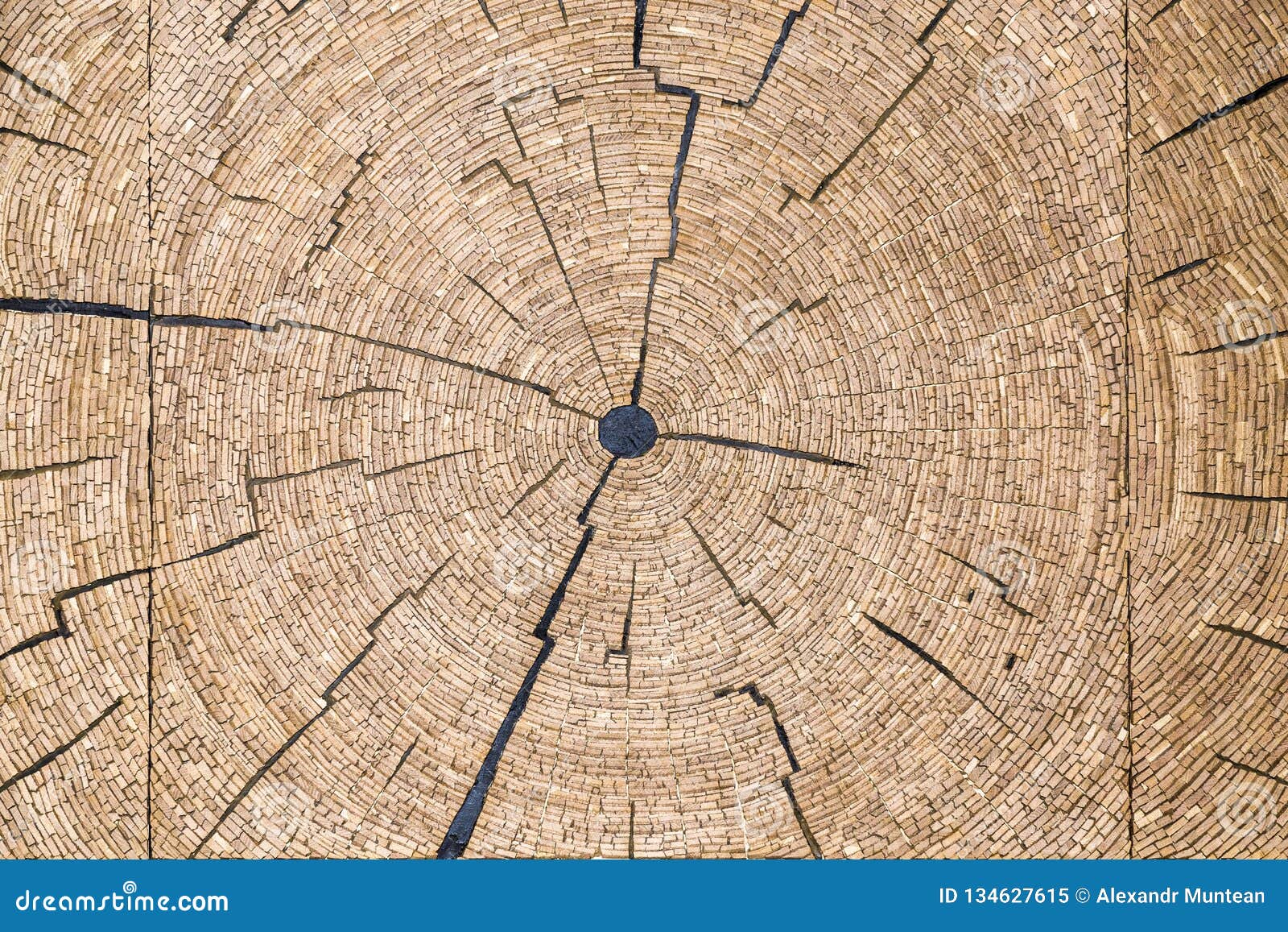 Decorative tree year rings stock image. Image of slice - 134627615