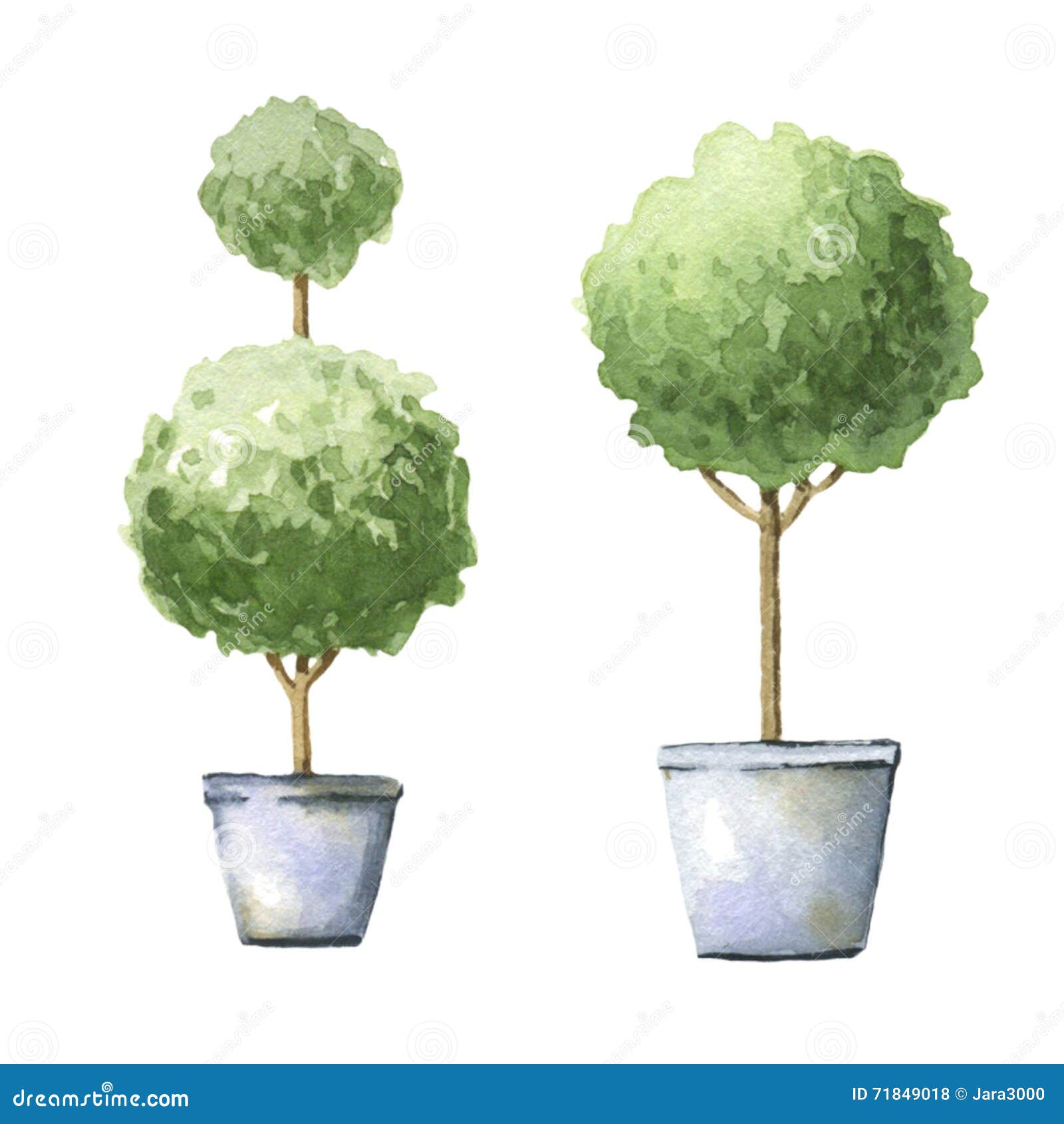 Potted Tree Clipart