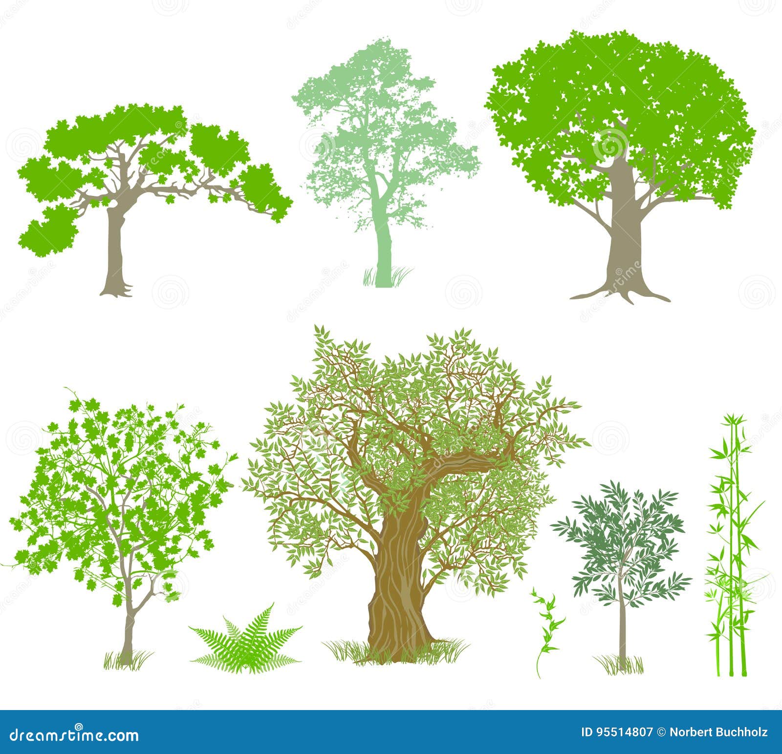 Decorative trees stock vector. Illustration of woods - 95514807