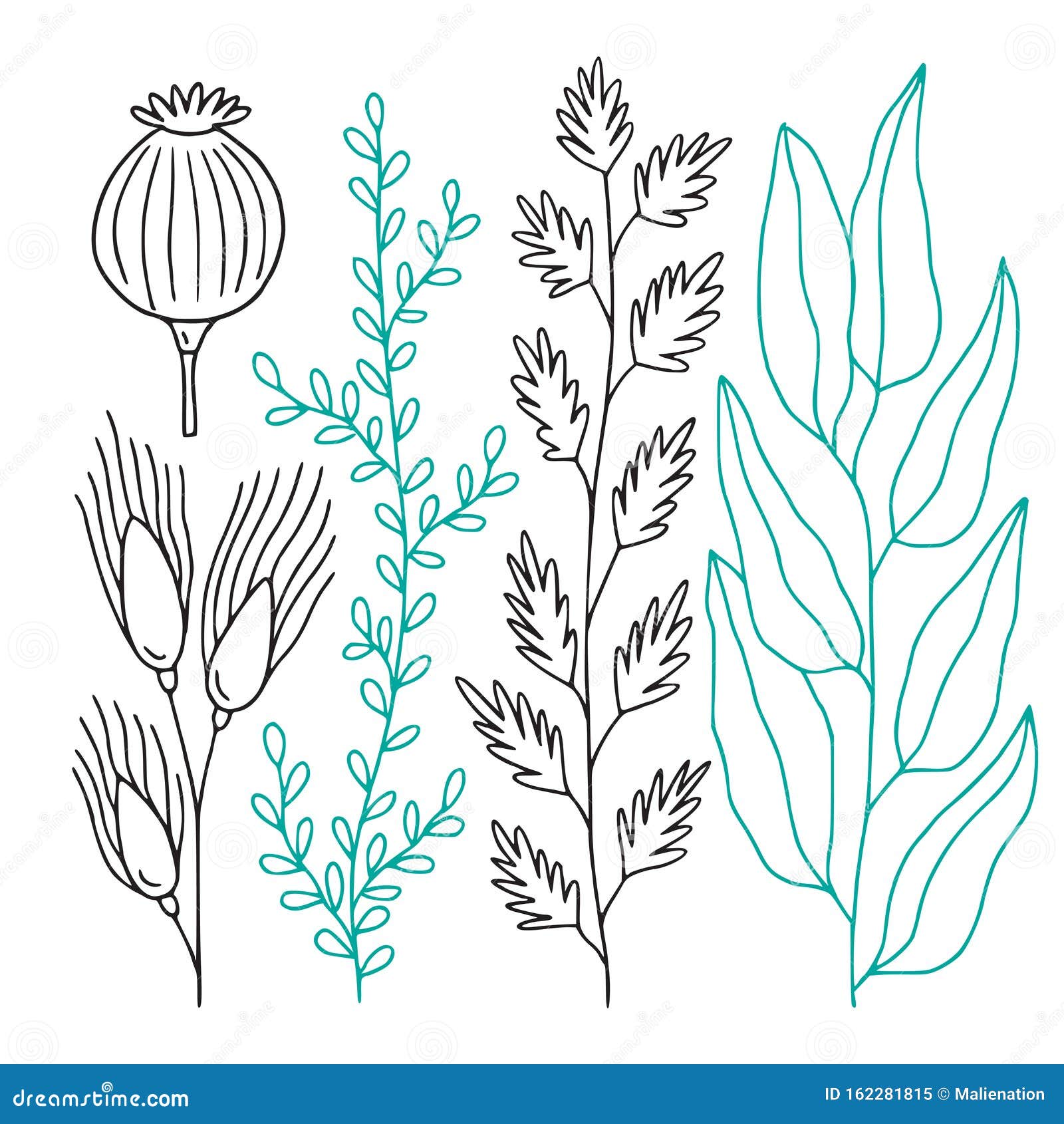 Decorative Twigs Pack. Nature Printable Decorations. Leaves Outline ...