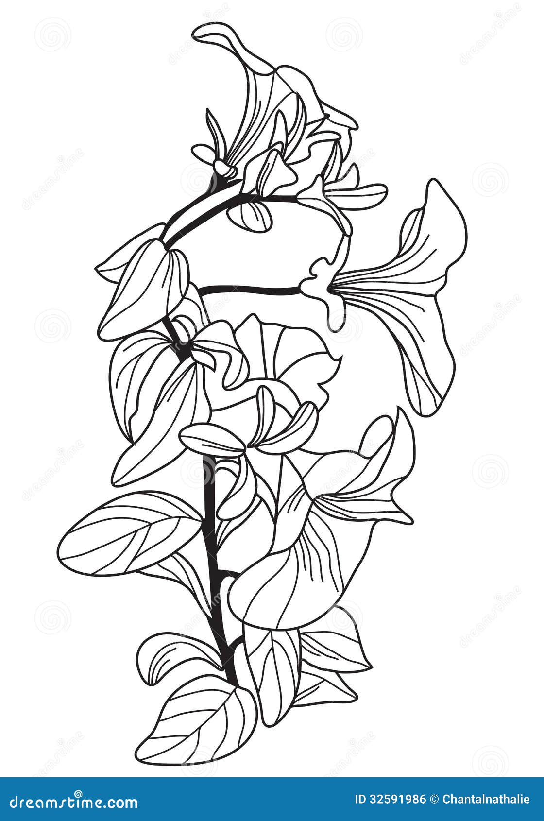 Decorative viola flowers stock vector. Illustration of decorative ...