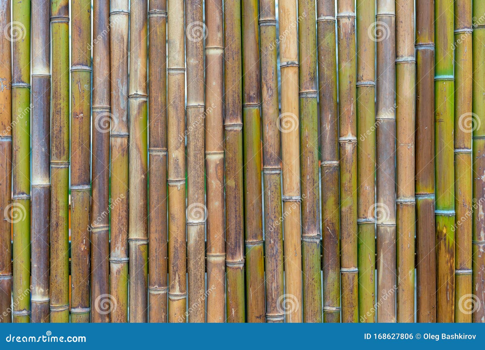 Decorative Wall Panel, Colorful Bamboo Stems in Vertical Pattern Stock ...