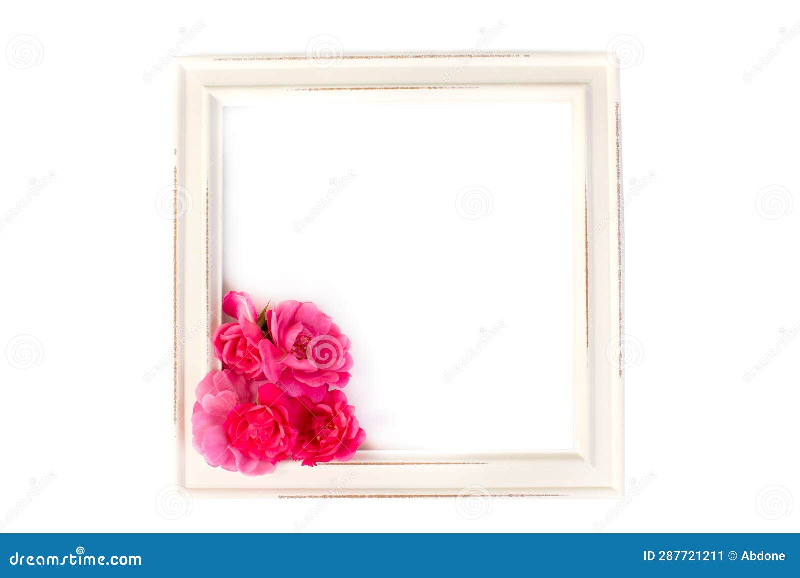 Decorative White Photo Frame with Flowers Stock Illustration ...