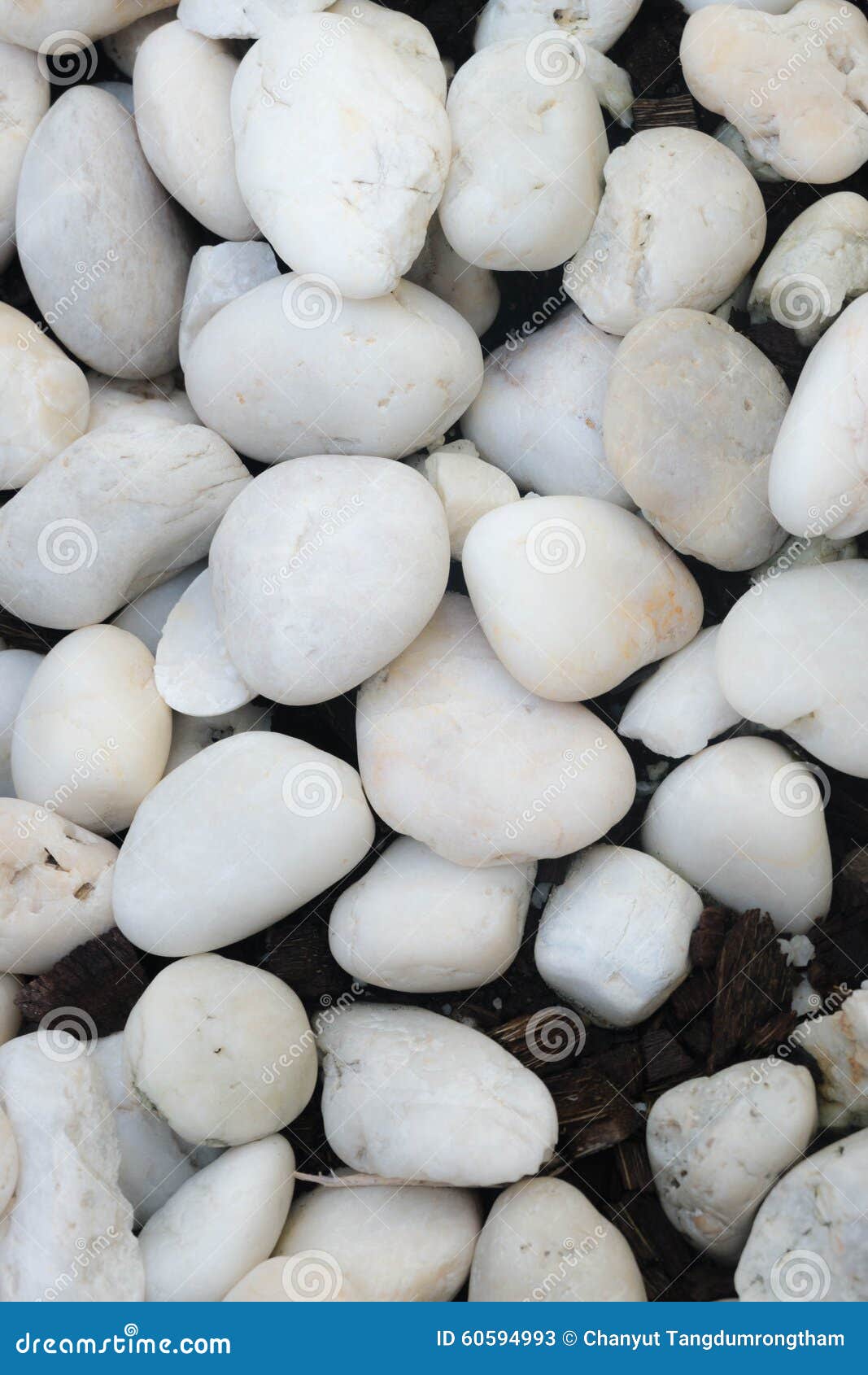 Decorative white rock stock image. Image of rock, pattern - 60594993
