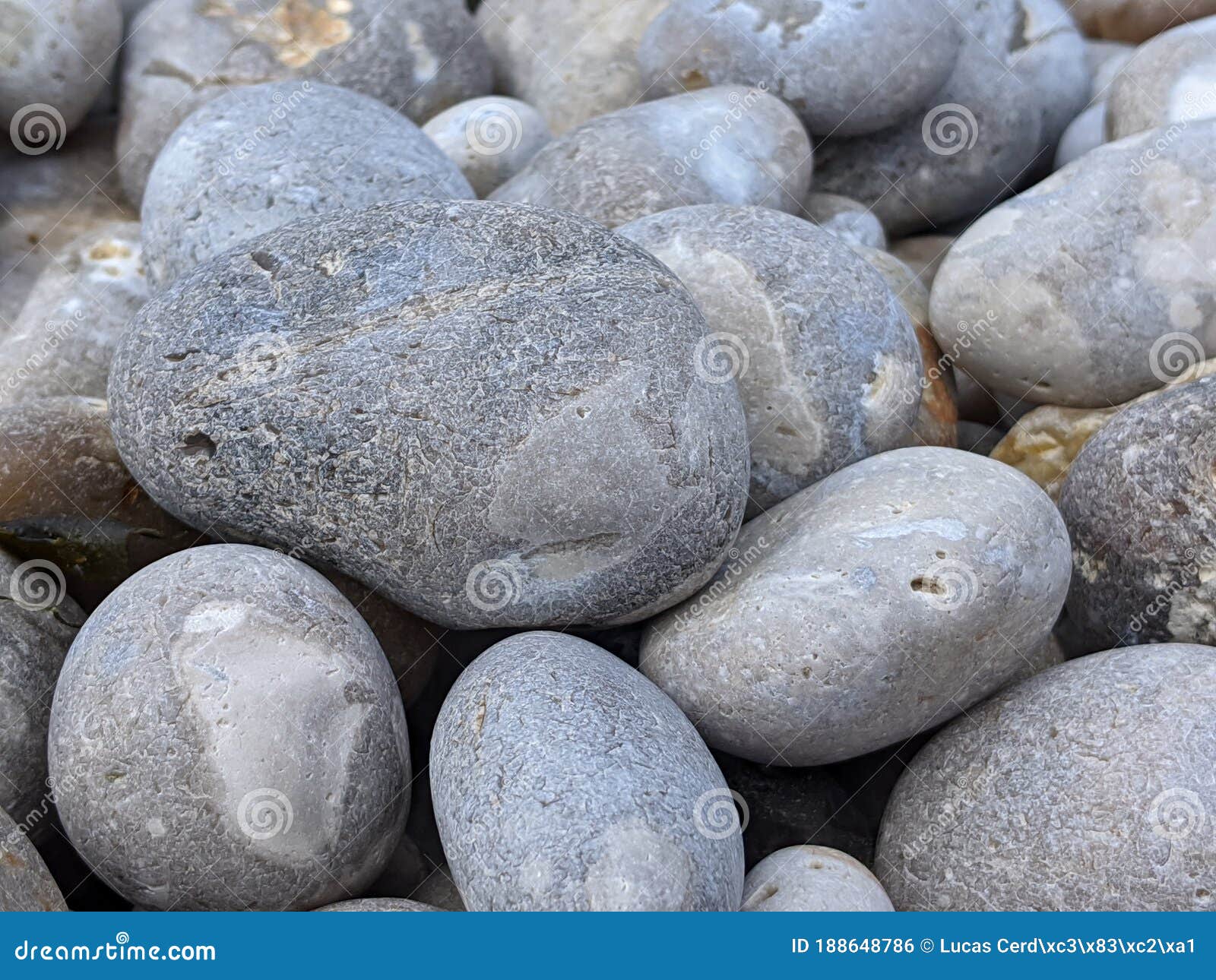 Medium Size Rock Beach Ground Texture Stock Photo - Image of drying ...