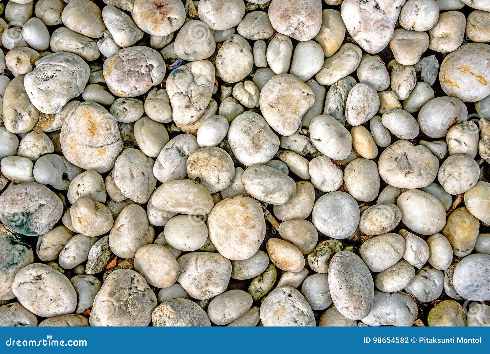 Decorative white stones stock photo. Image of garden - 98654582