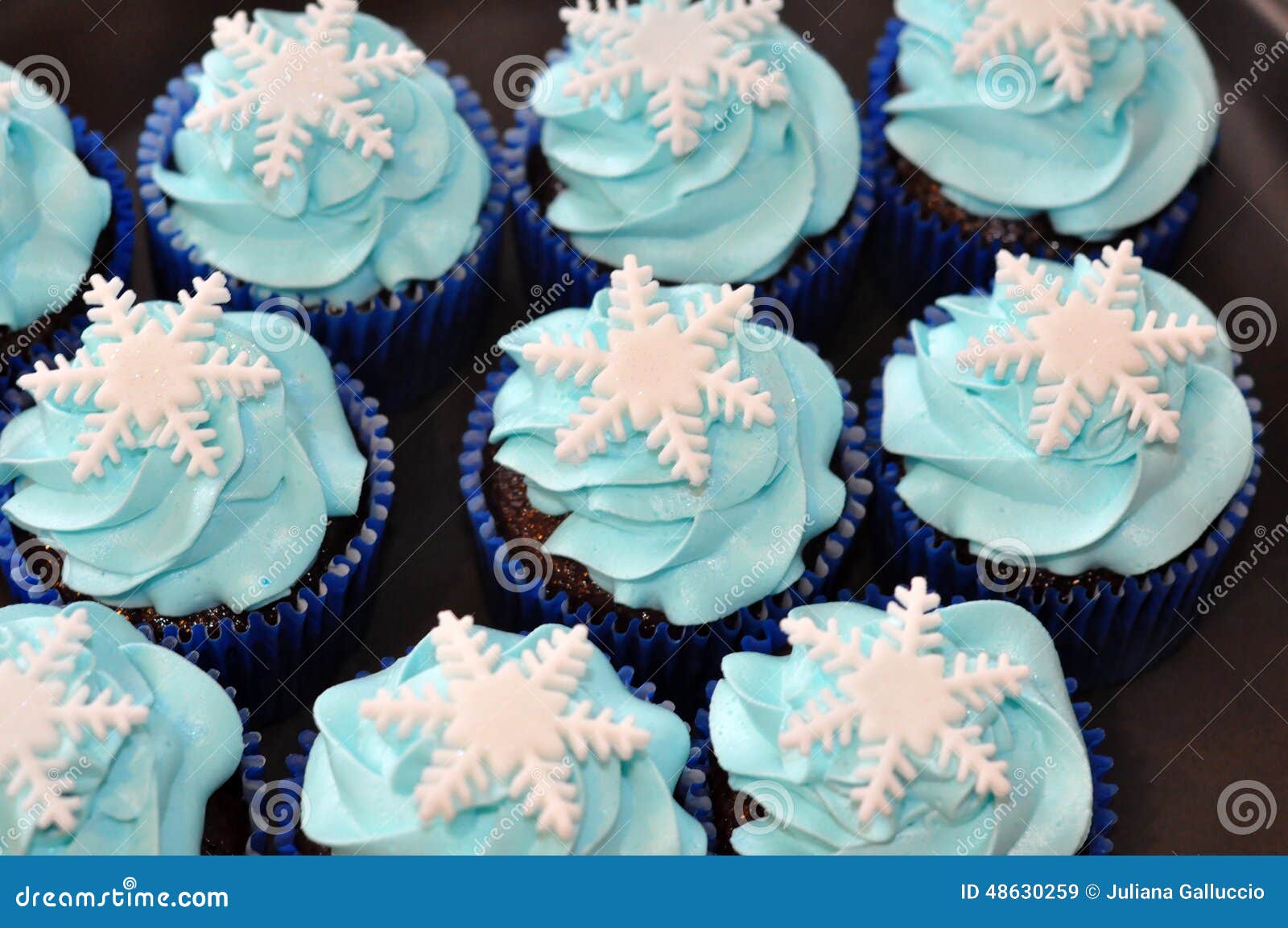 Decorative winter cupcakes stock image. Image of blue - 48630259