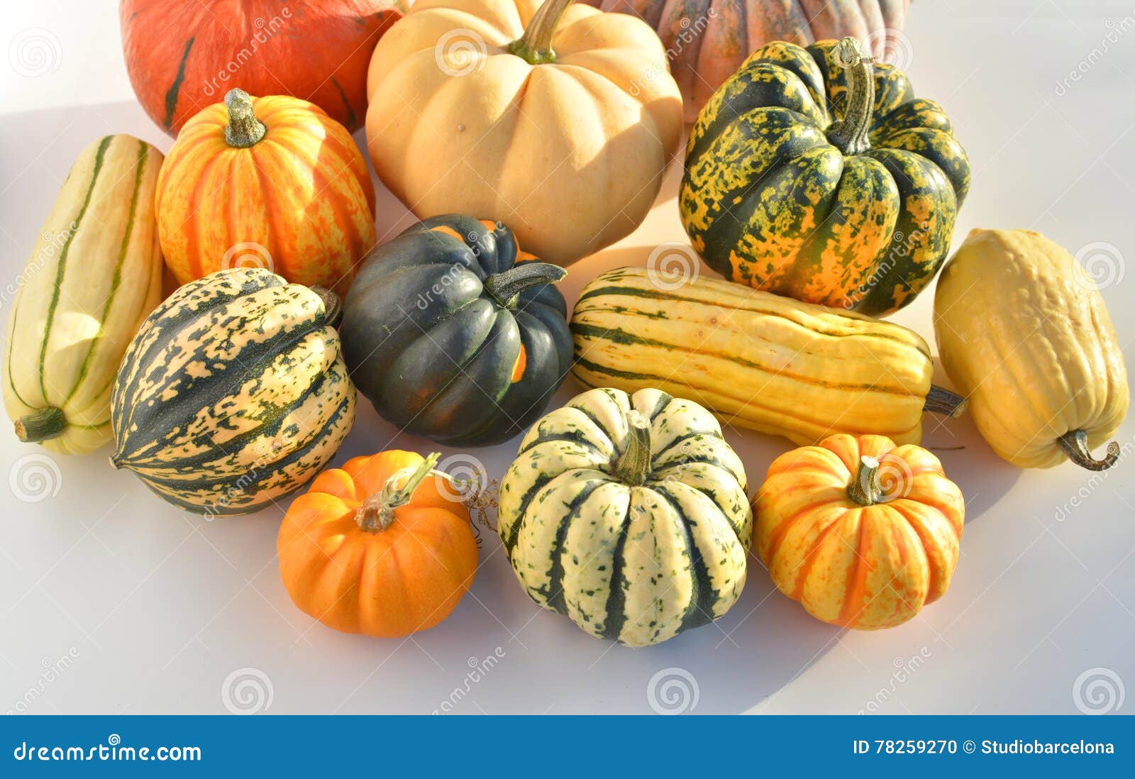 Decorative winter squashes stock photo. Image of cucurbita - 78259270
