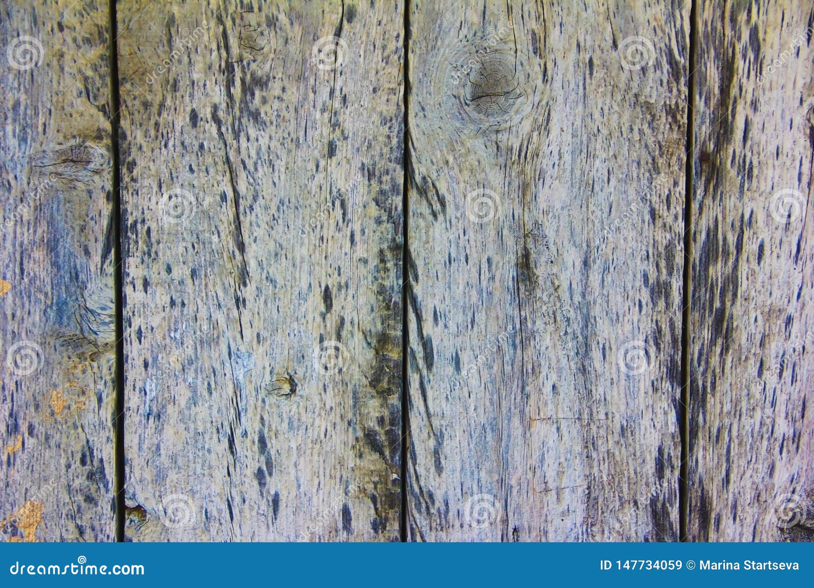 Decorative Wood a Texture with Cracks, Stains and Patterns Stock Image ...