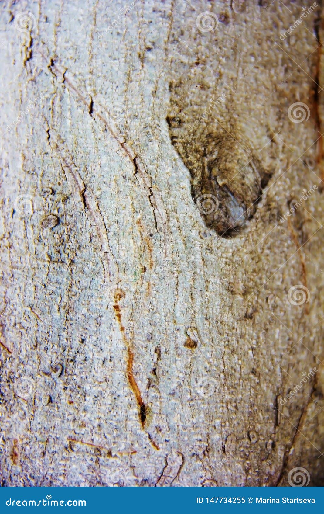 Decorative Wood a Texture with Cracks, Stains and Patterns Stock Image ...